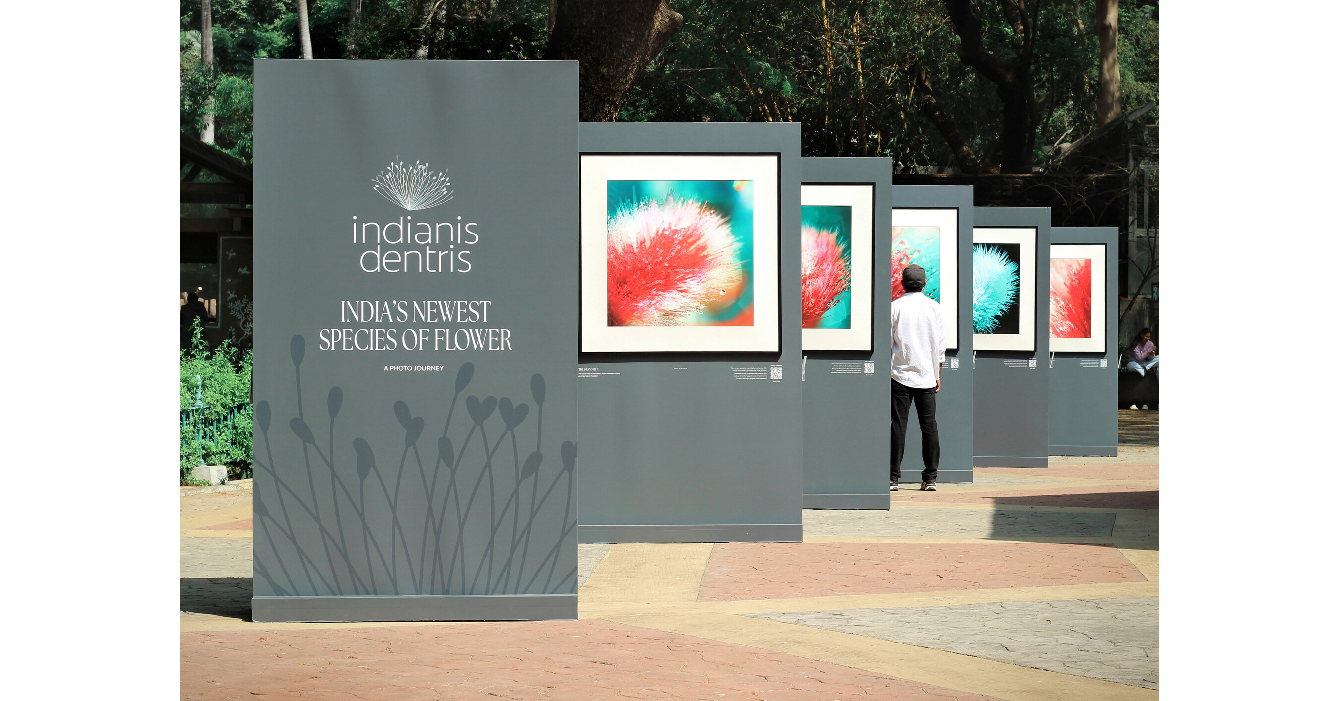 A Blooming Surprise: Colgate India's New Campaign Turns Discovery Into ...