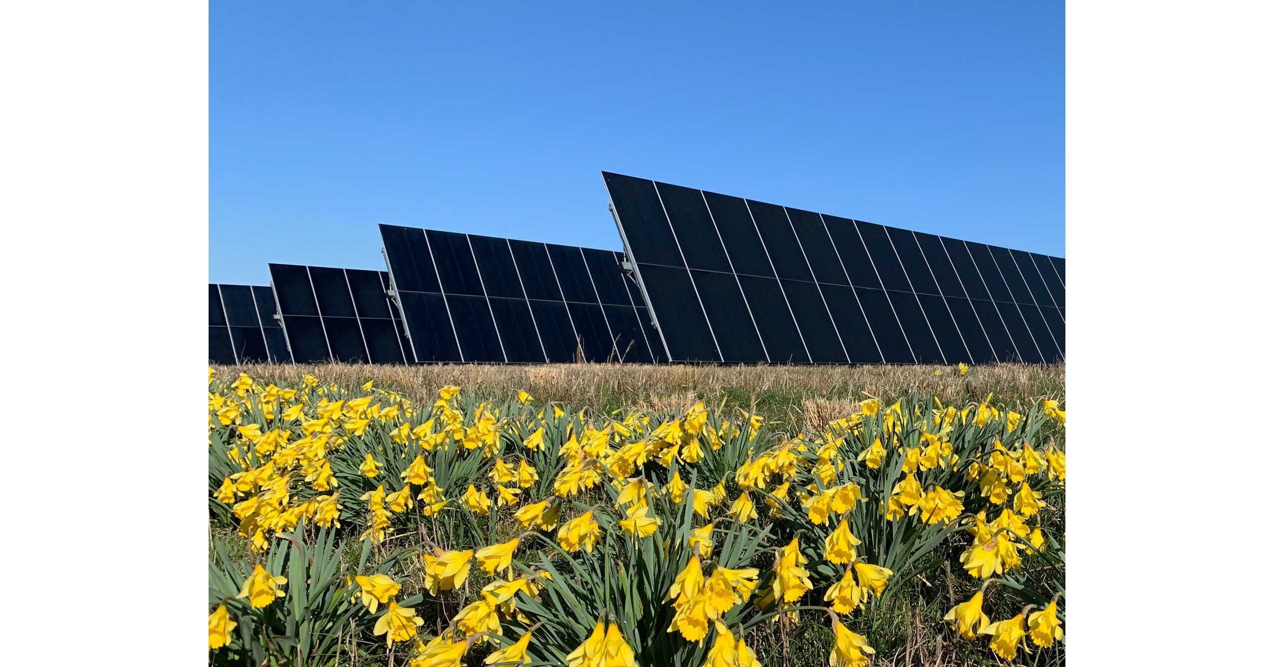 Innergex franchit une étape décisive pour deux projets solaires en France