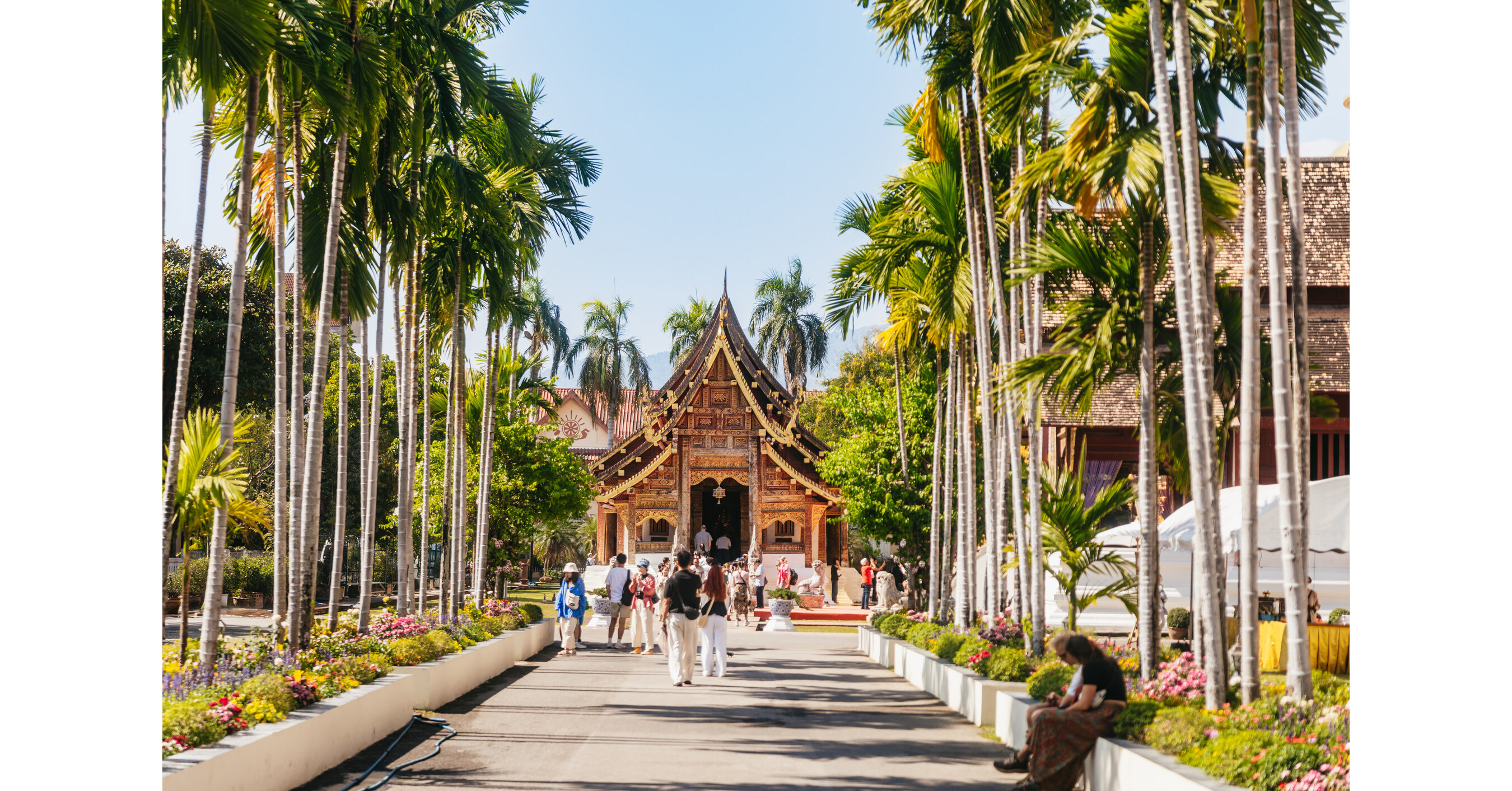 New GetYourGuide Survey Exposes the Truth About "The White Lotus ...