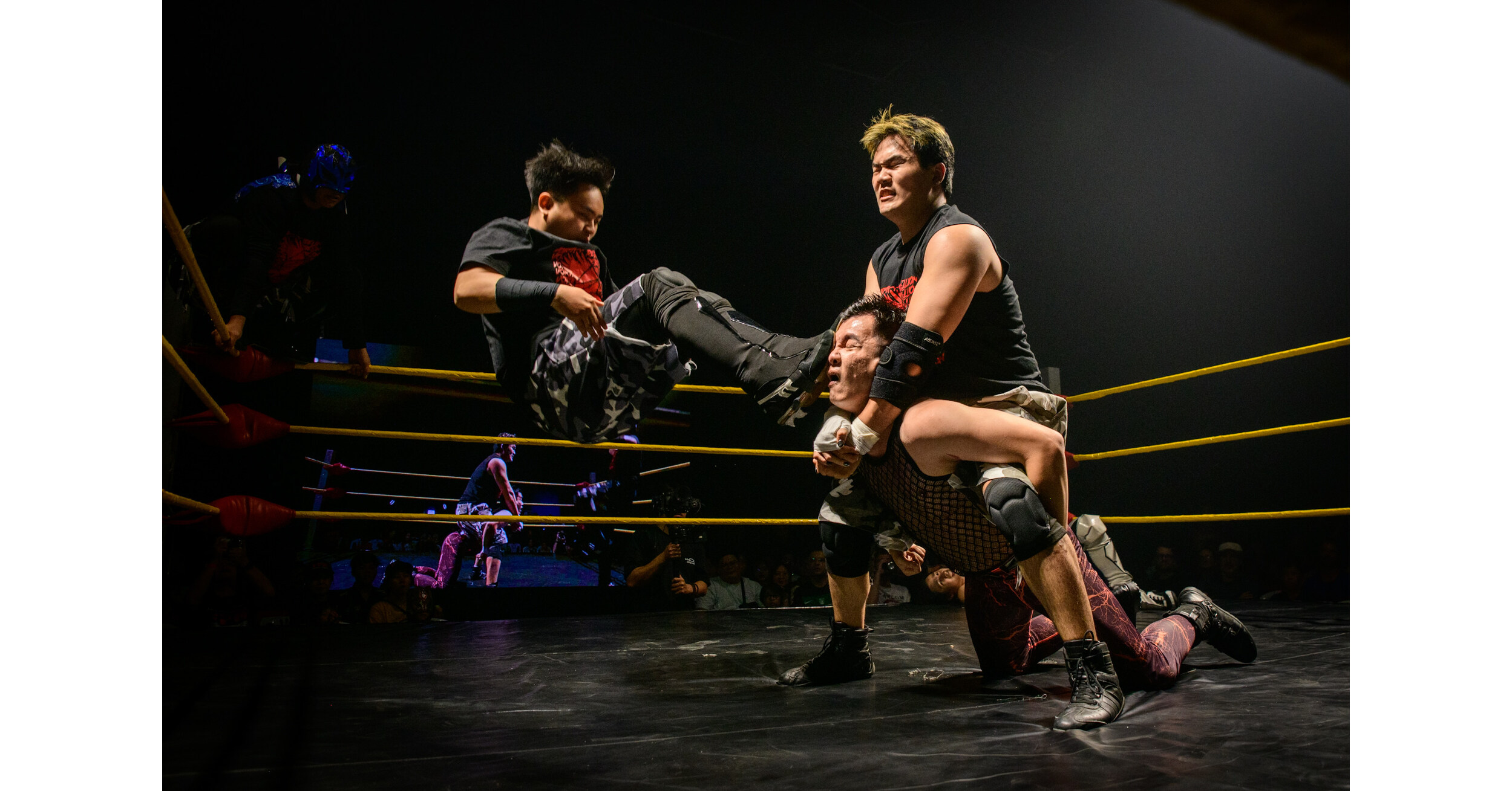 Vietnam Pro Wrestling Launches Official Website in Response to Growing ...