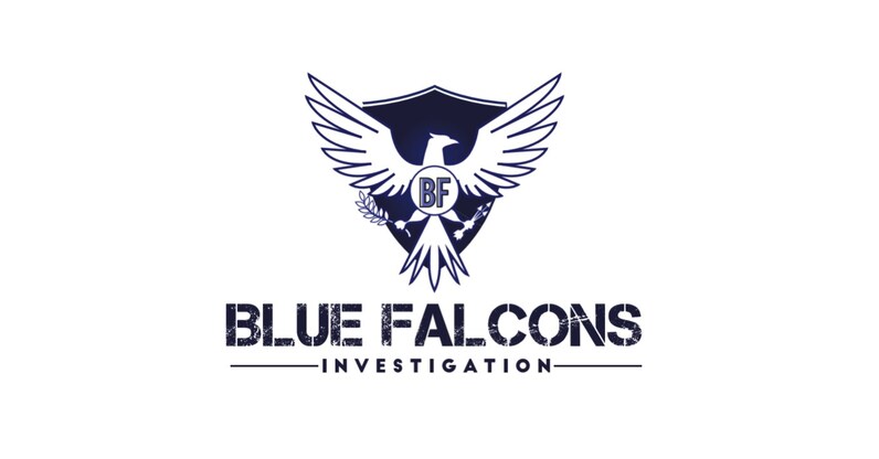 Blue Falcons Investigation Expands Efforts to Help Parents Win Custody ...