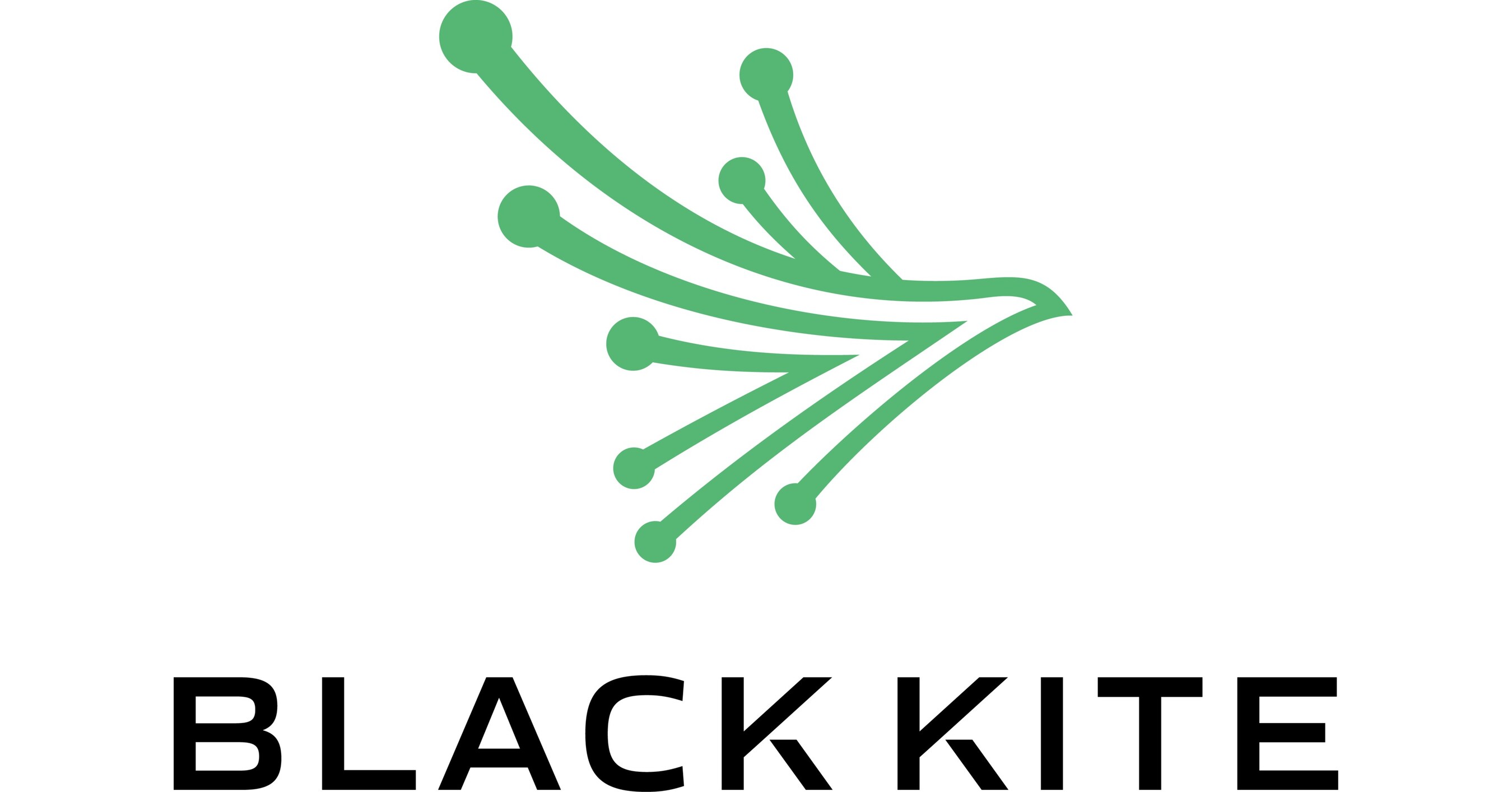 Black Kite Introduces AI-Powered Cyber Assessments, Transforming Third-Party Risk Management ...