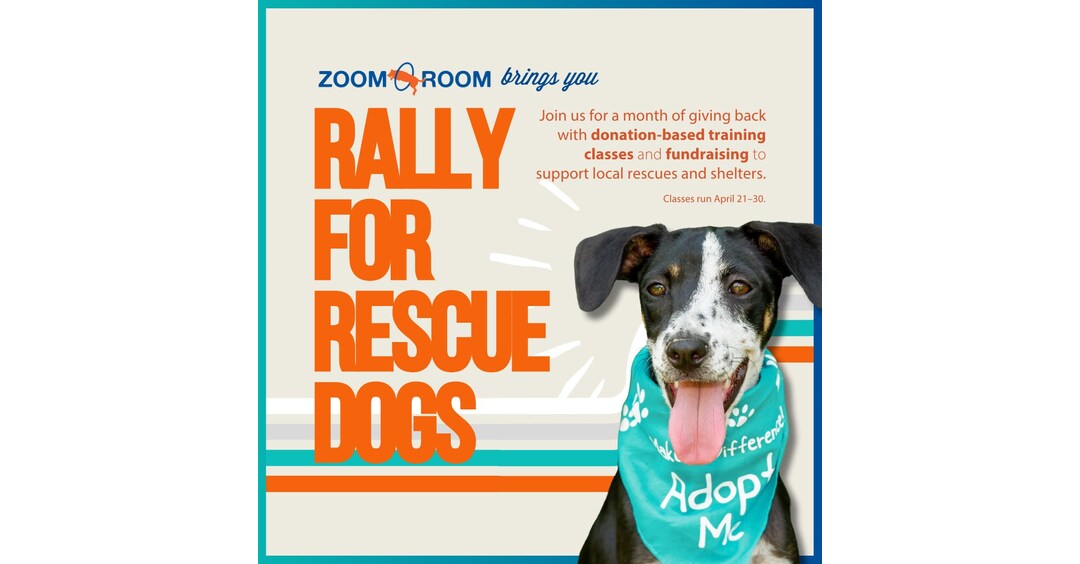 Zoom Room Launches "Rally for Rescue Dogs" Initiative Across the U.S.