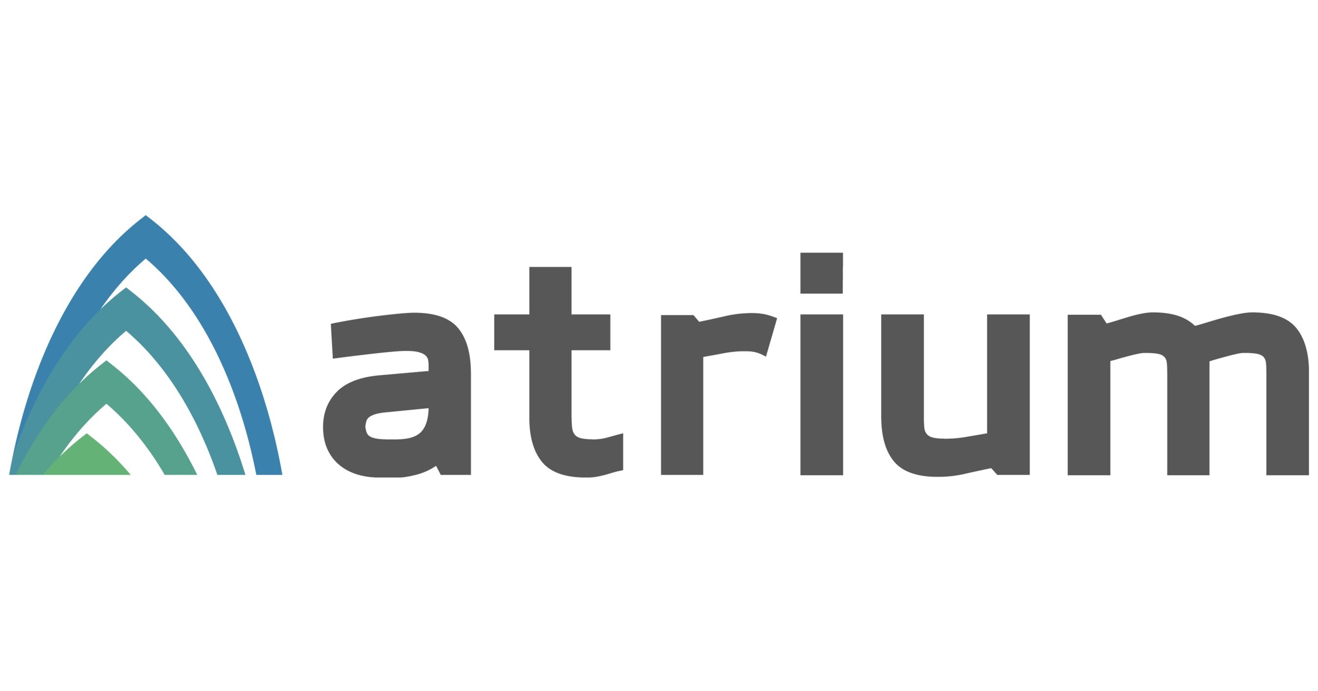 Andi Joins Atrium as the First AI Consultant