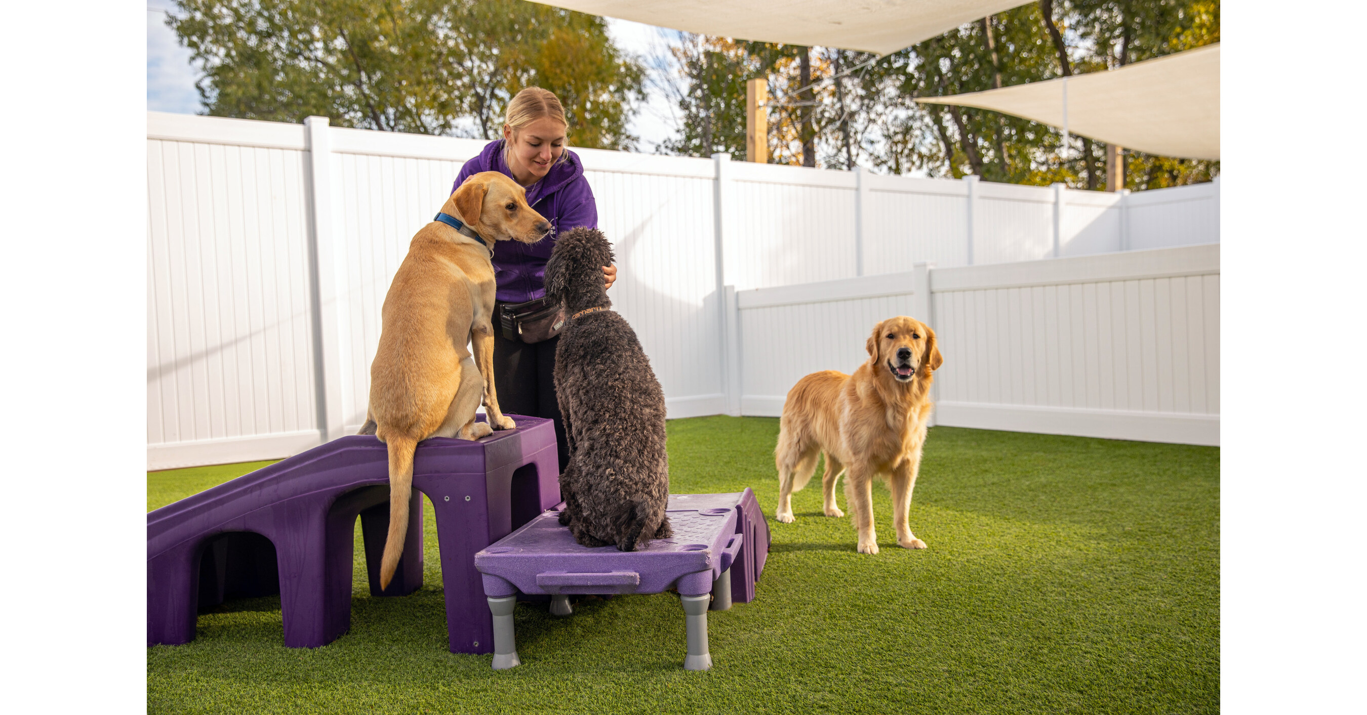 Coming Soon: Aurora Central Bark Location to Open Spring of 2025