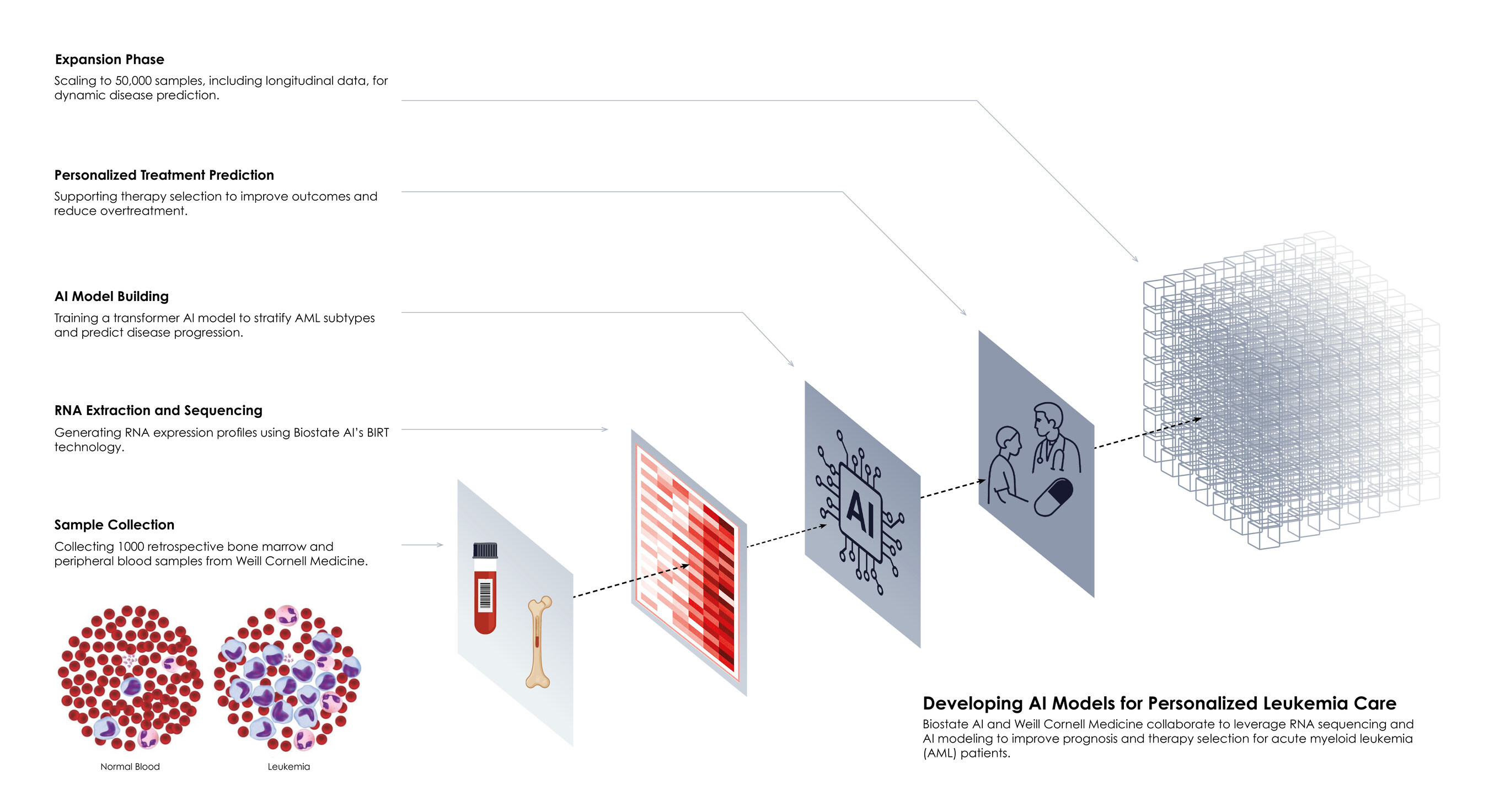 Biostate AI and Weill Cornell Medicine Collaborate to Develop AI Models ...