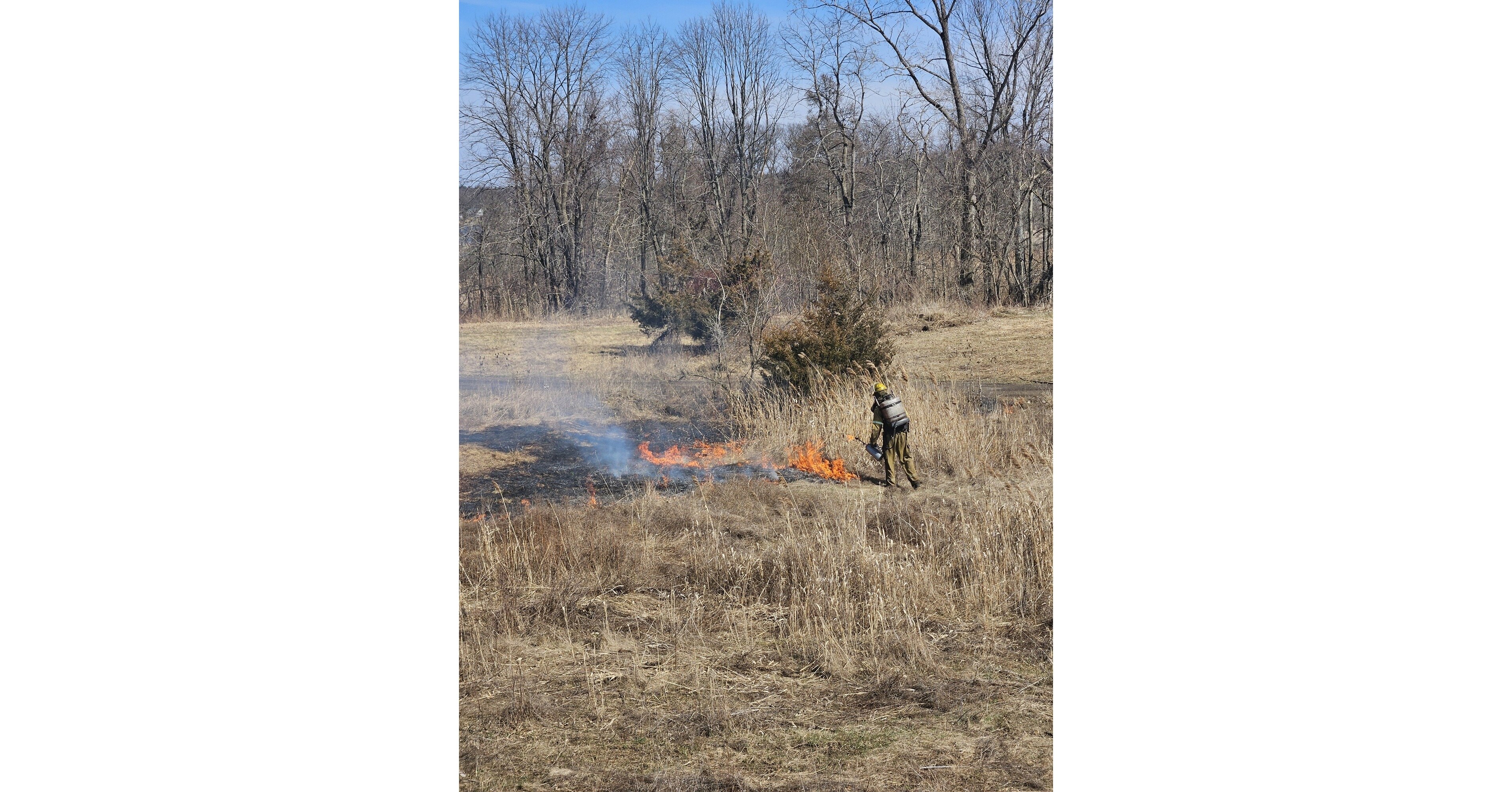 Green Cemetery Restores Ecosystem Health – Green Reporter