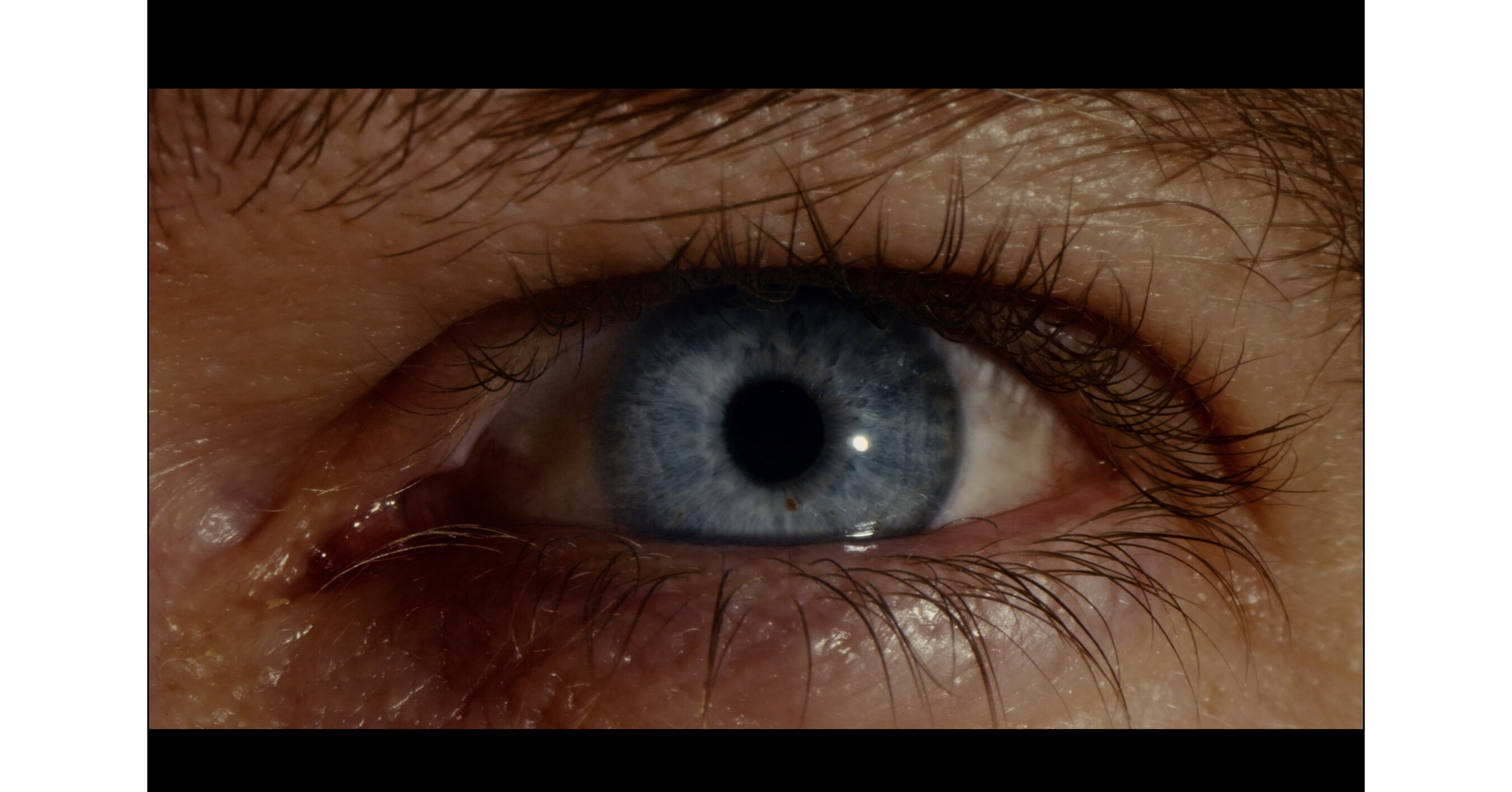 From Prison Cells To Movie Sets: Wet Paper Bag Film Drops Official ...