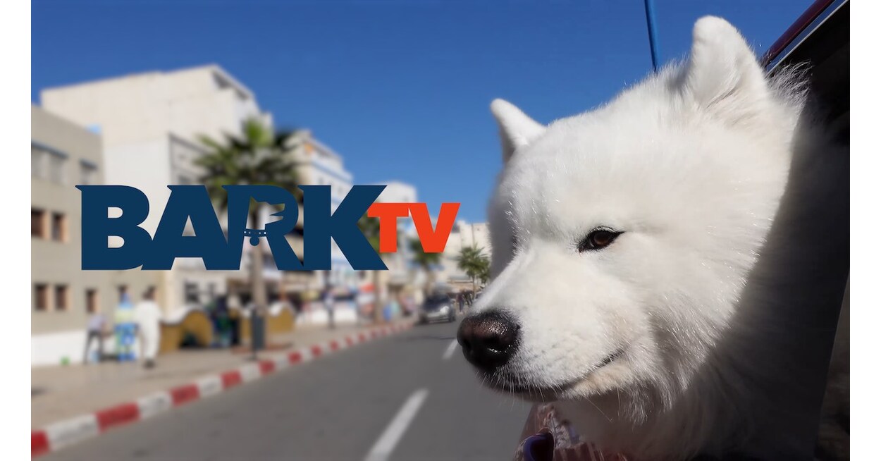 Bark TV FAST Channel Launches on Xumo Play