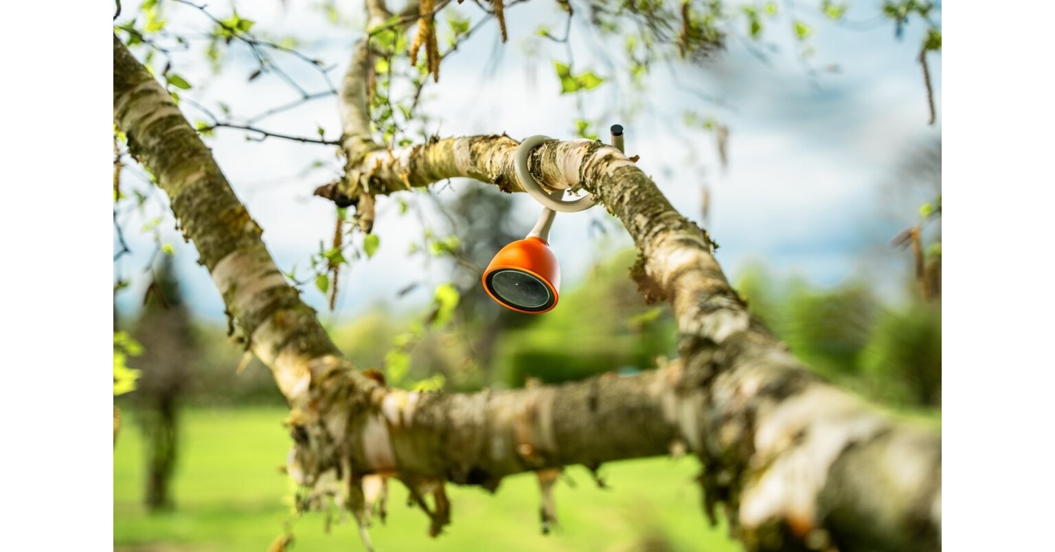 From the Creators of Bird Buddy Comes Wonder Blocks: A Smart Nature ...