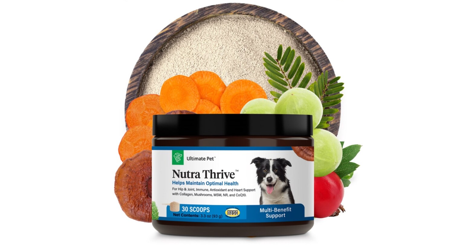 Celebrate National Pet Week by Giving Your Dog the Gift of Vibrant ...