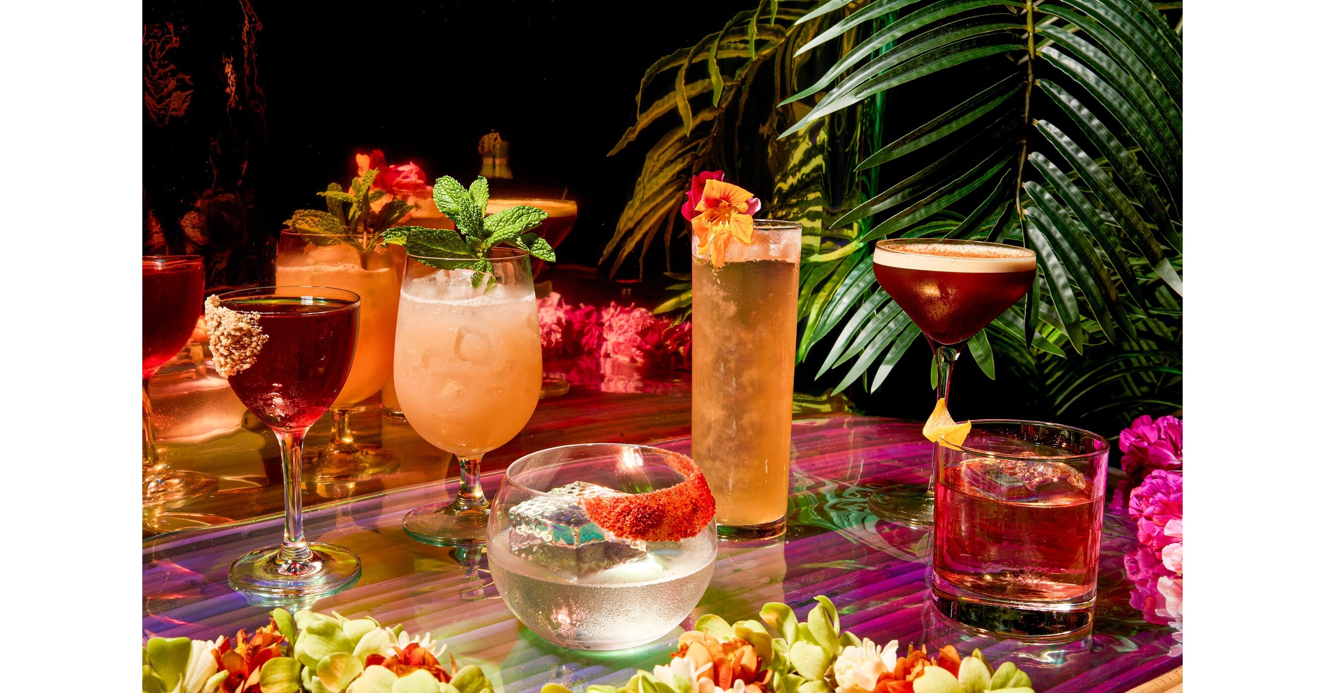 ROMER HOUSE WAIKĪKĪ, O'AHU'S ONLY ADULTS-ONLY HOTEL, WELCOMES HONOLULU ...