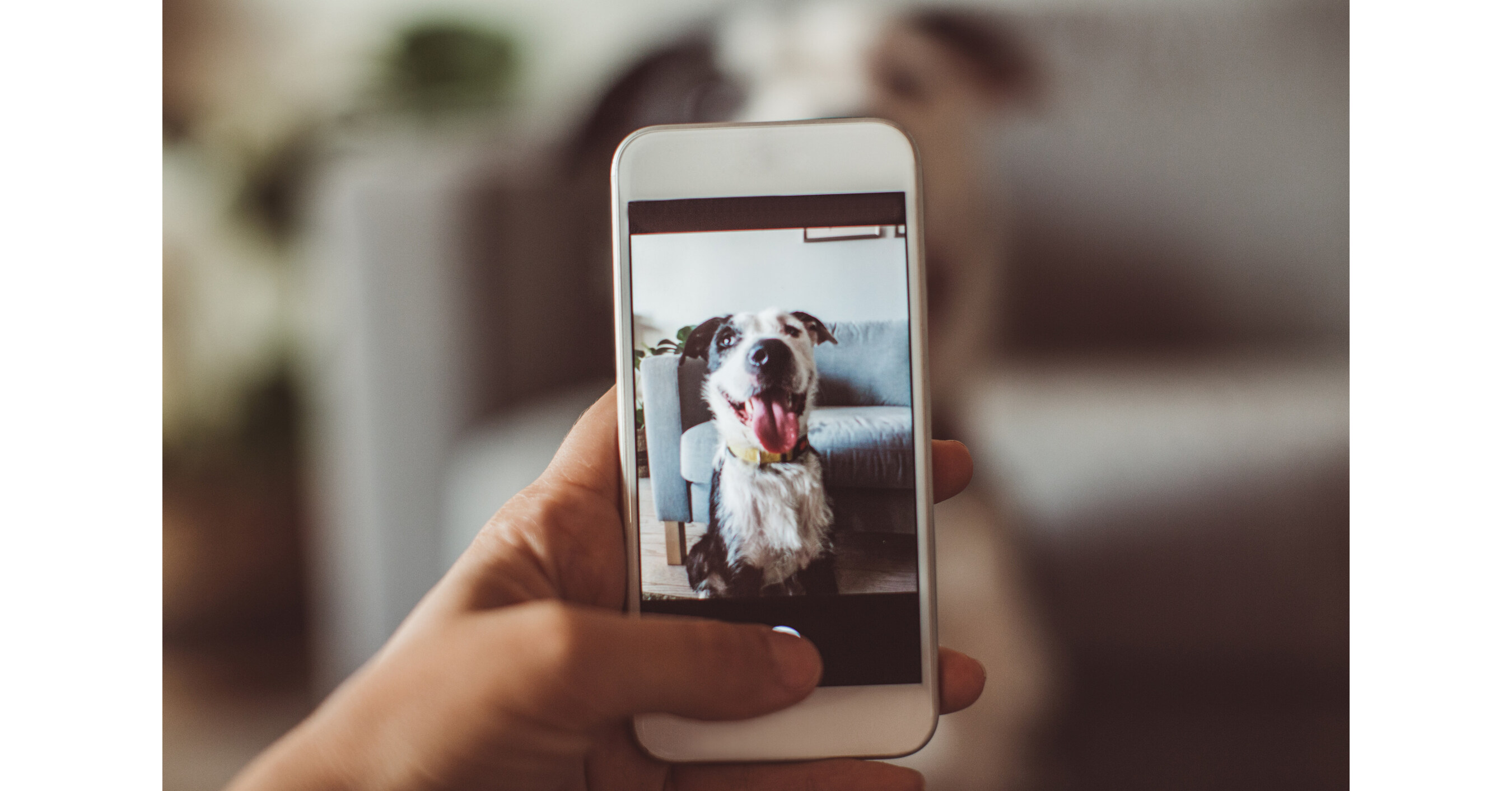Mars Puts Pet Health in Pet Parents' Hands with new Artificial ...