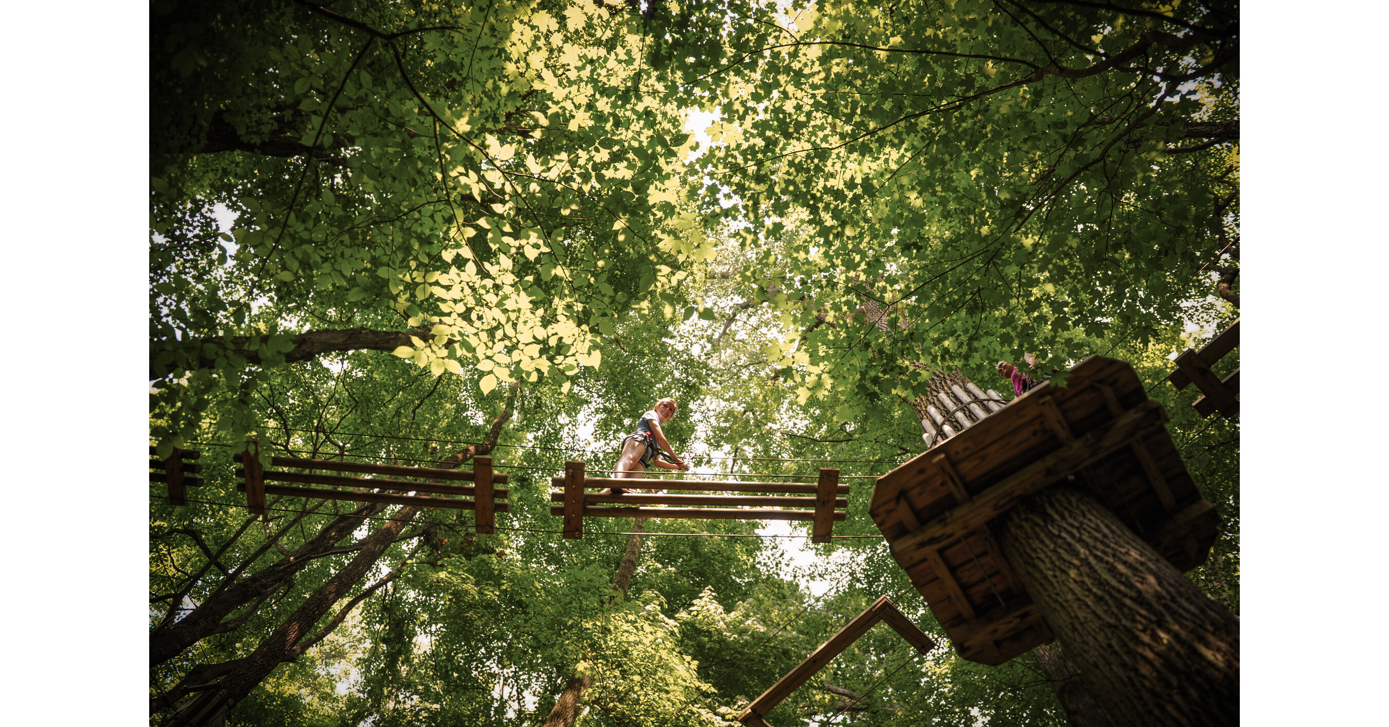 Go Ape USA Launches Primal Dynamix: Revolutionizing Leadership and Team ...