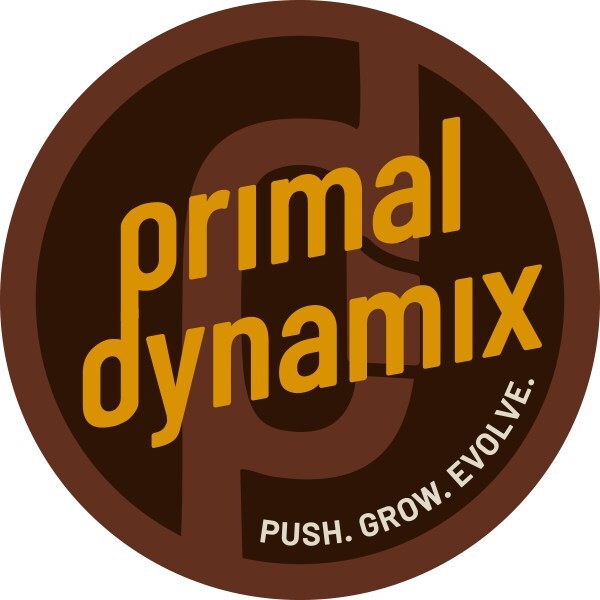 Go Ape USA Launches Primal Dynamix: Revolutionizing Leadership and Team Building for a Future ...