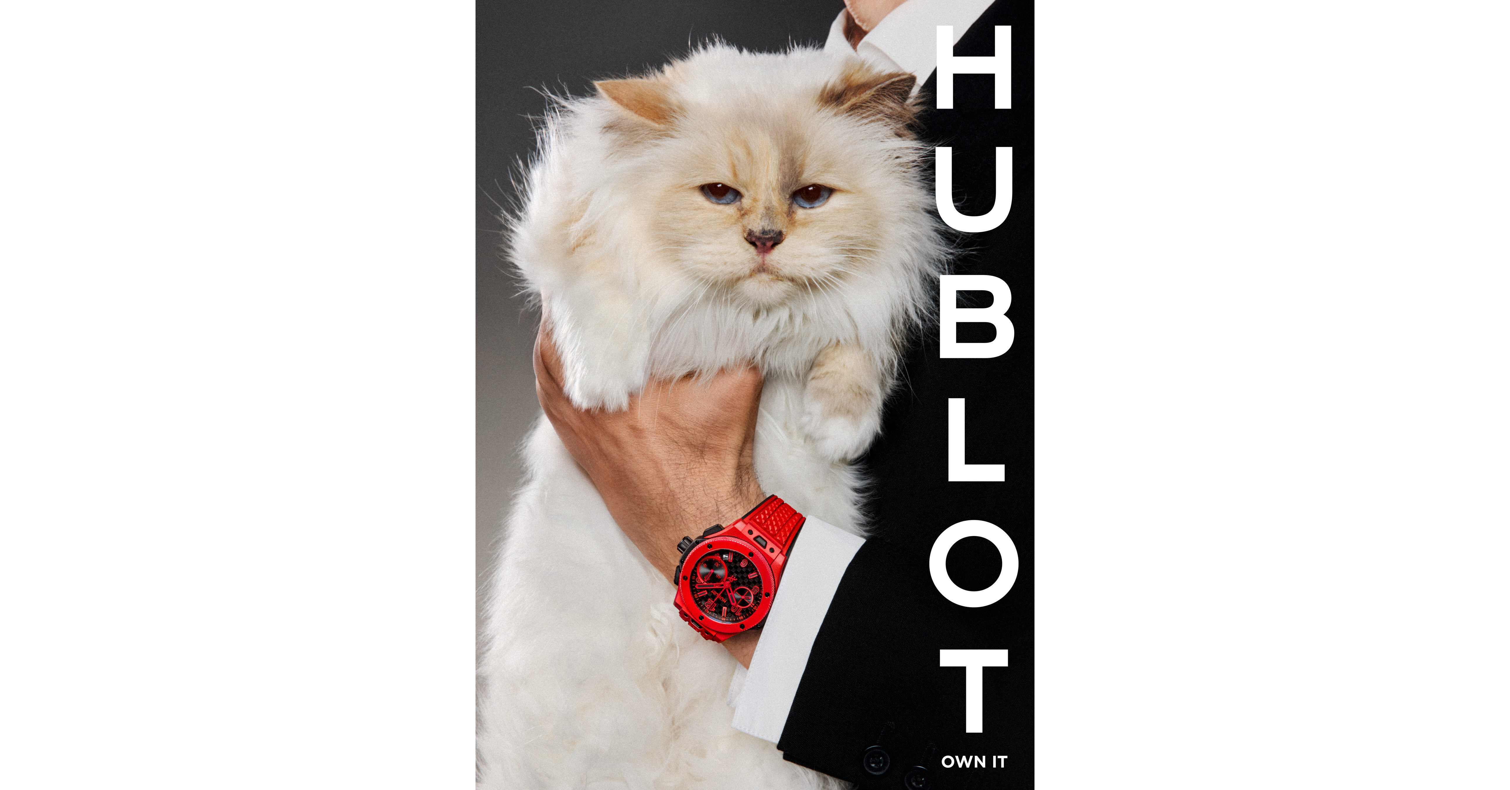 THE WORLD'S MOST FAMOUS AND PAMPERED FELINE CHOUPETTE STARS IN HUBLOT'S ...