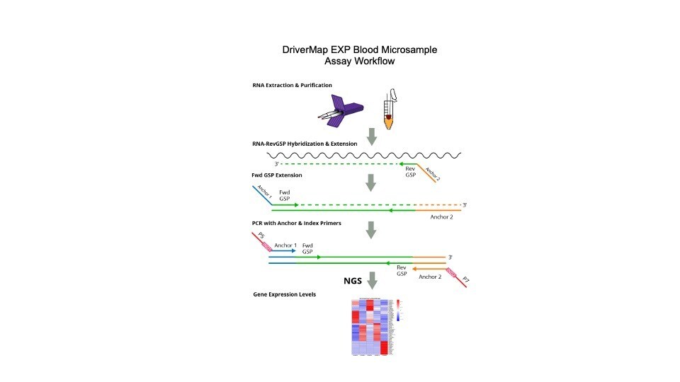Cellecta launches blood microsampling assay that profiles 19,000 human protein-coding genes from ...