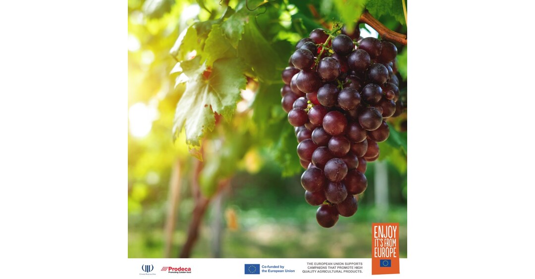 The European Union's "Taste the Difference" Campaign Brings Exclusive ...
