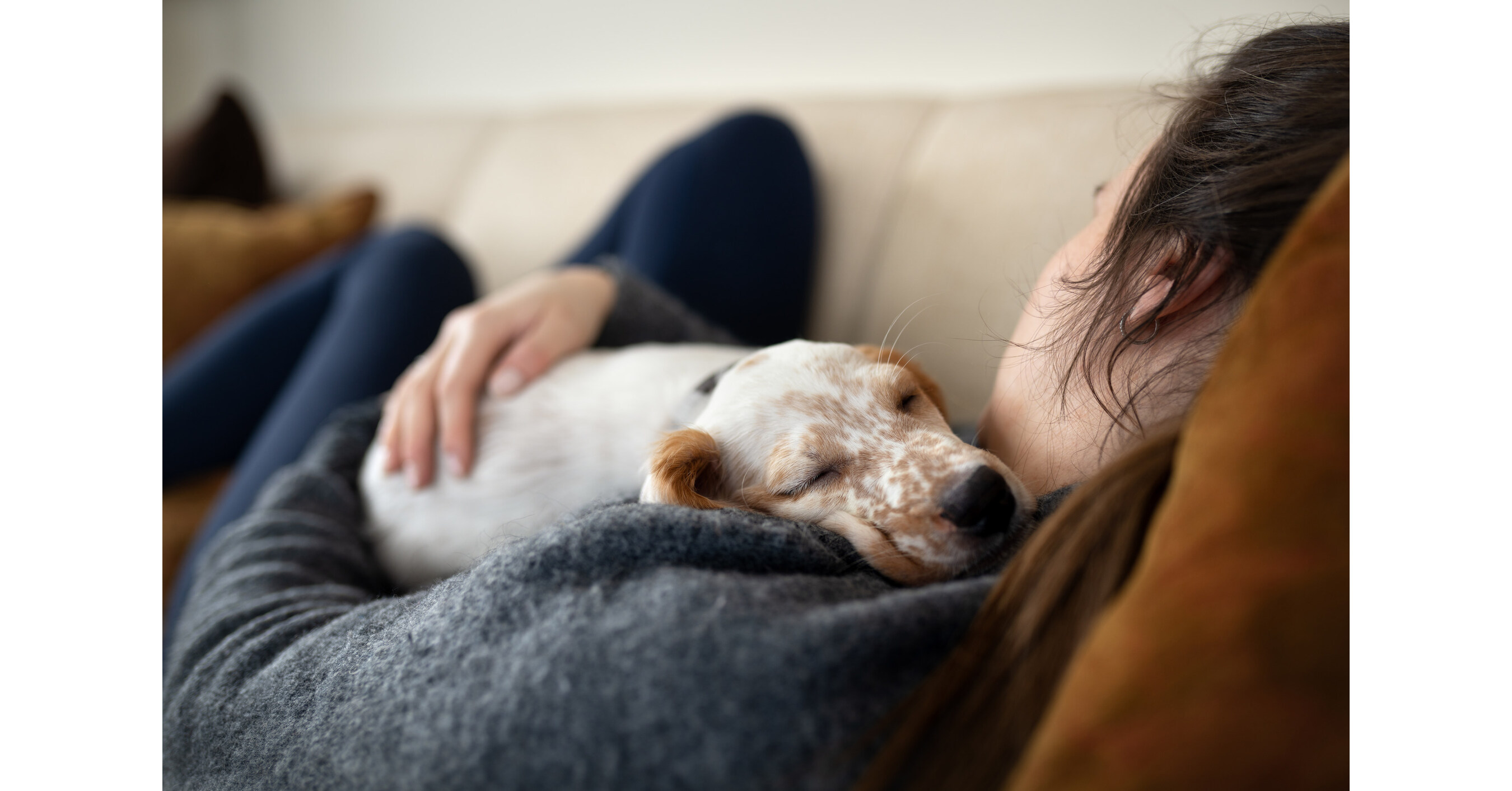 Six in 10 pet owners reveal they prefer to spend time with their pets ...