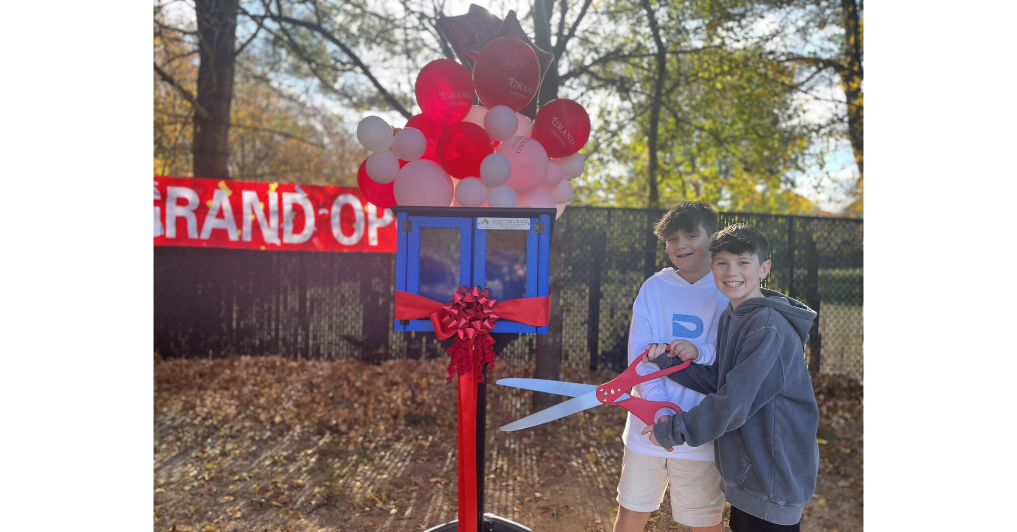 Little Free Library Announces 2025 Todd H. Bol Awards for Outstanding ...