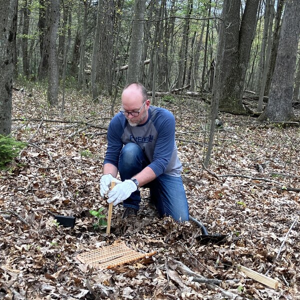 Mon Power Volunteers Plant and Donate More Than 2,700 Trees