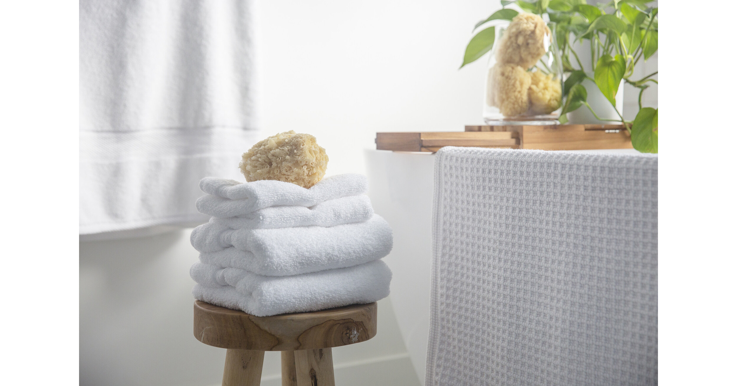 Standard Textile Advances Commitment to Sustainability with ...