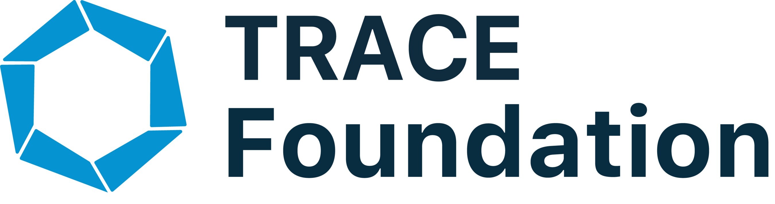 TRACE Foundation Announces Recipients of the 2025 TRACE Prize for ...