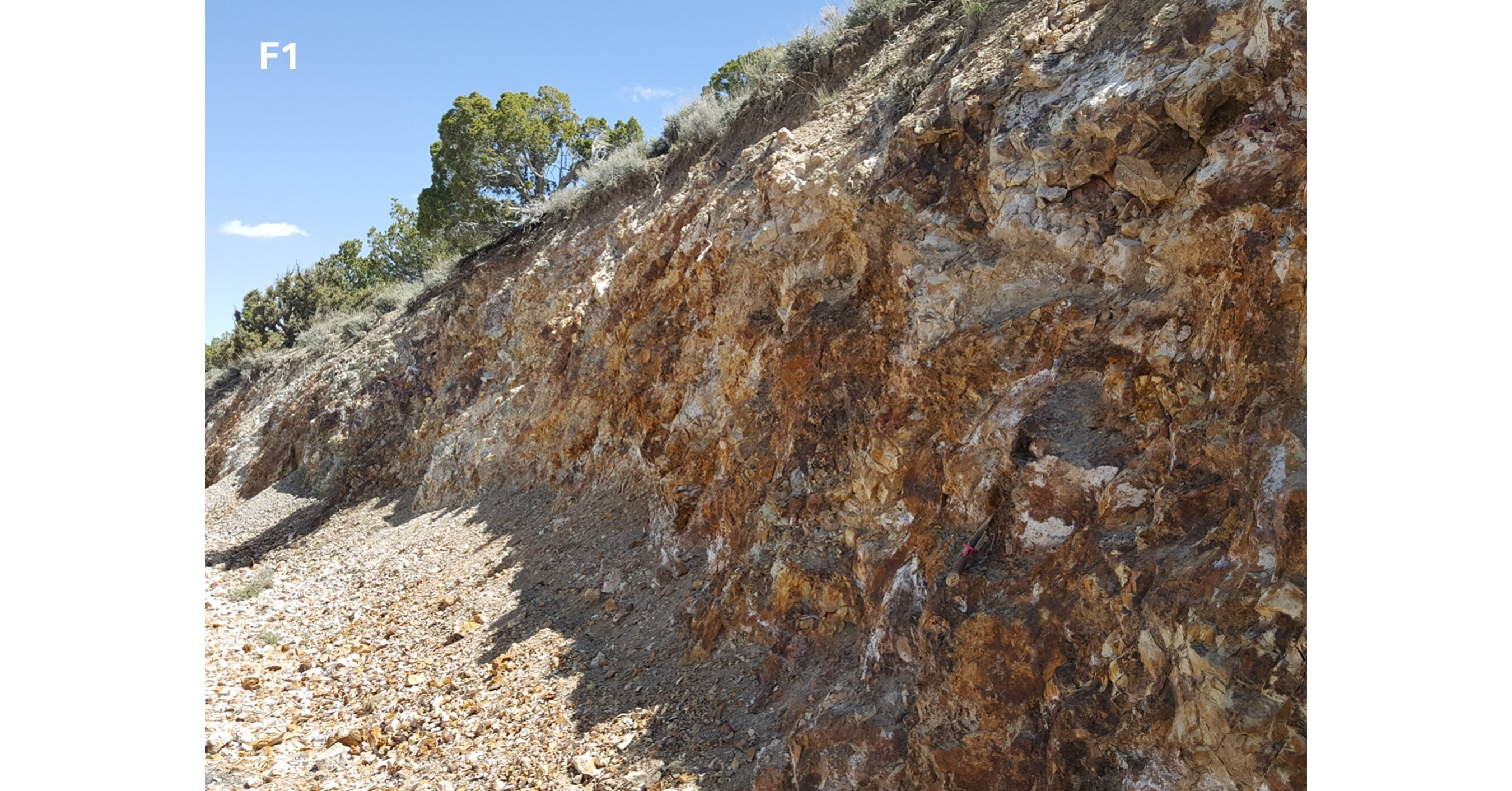 Black Mammoth Metals Reports Rock Chip Sampling Results at Coal Canyon, NV