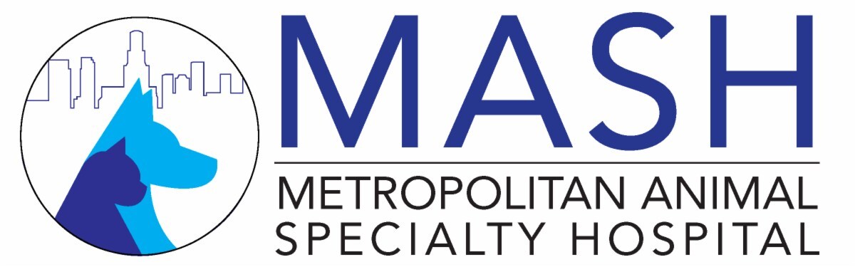 Metropolitan Animal Specialty Hospital (MASH) Los Angeles Will Remain ...