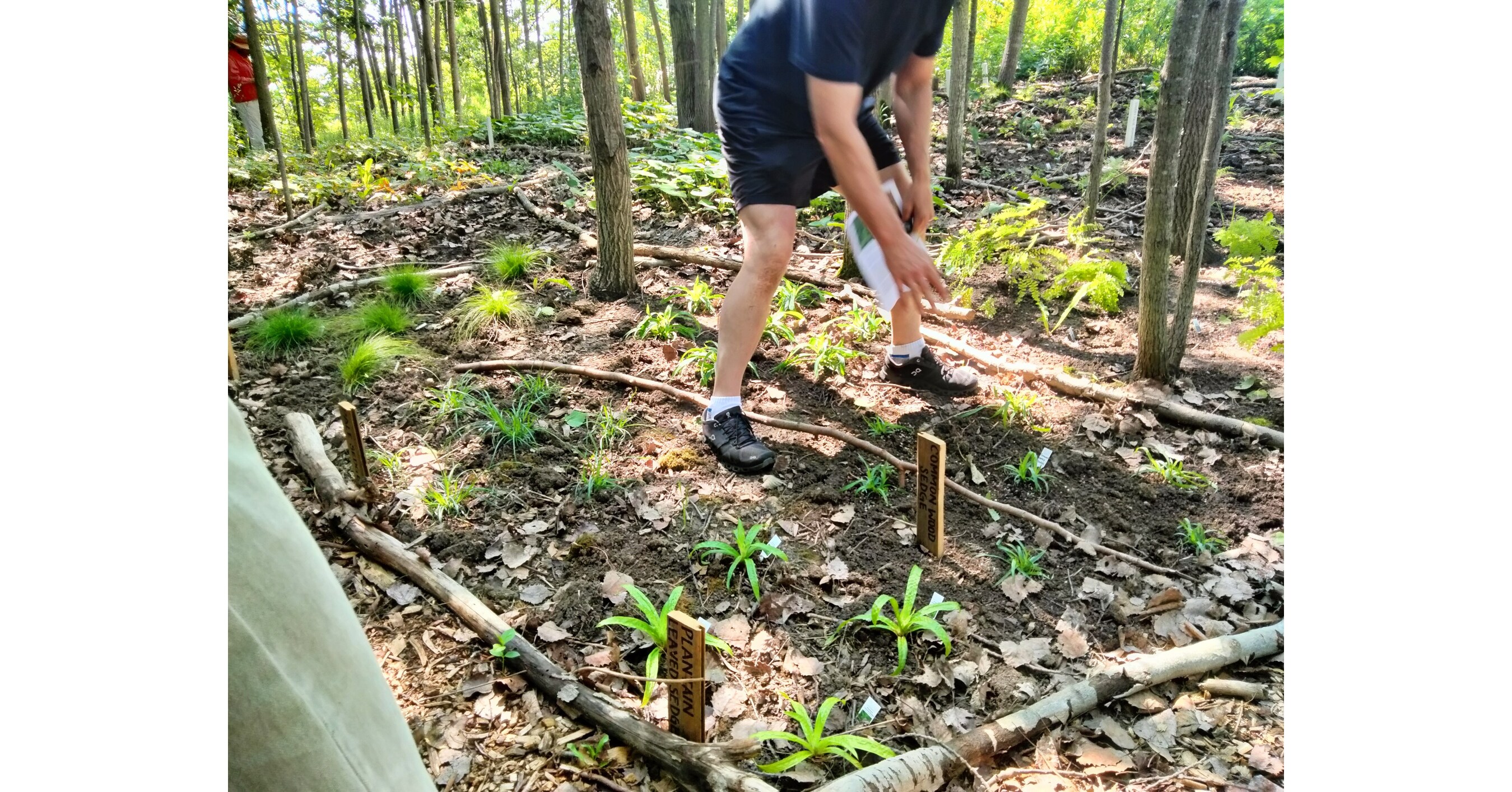 WWF-Canada scaling up seed orchard program to address seed shortage ...