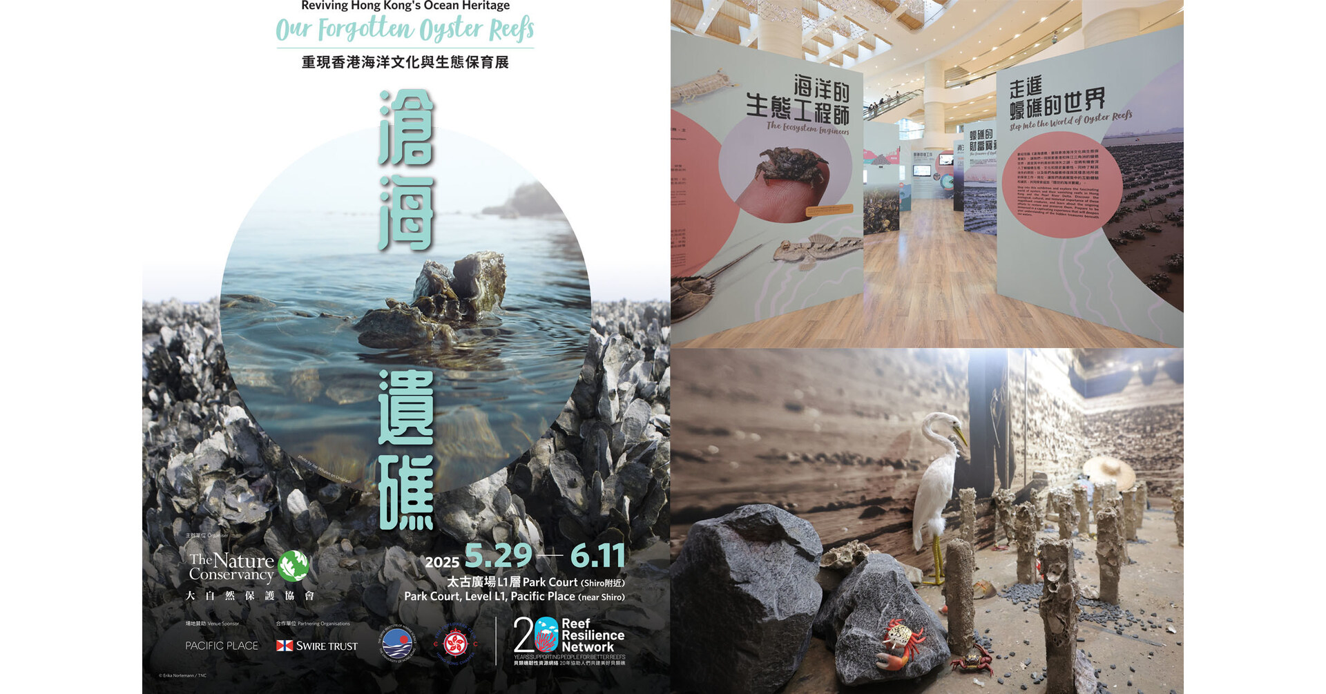 Reviving Hong Kong's Ocean Heritage - Our Forgotten Oyster Reefs