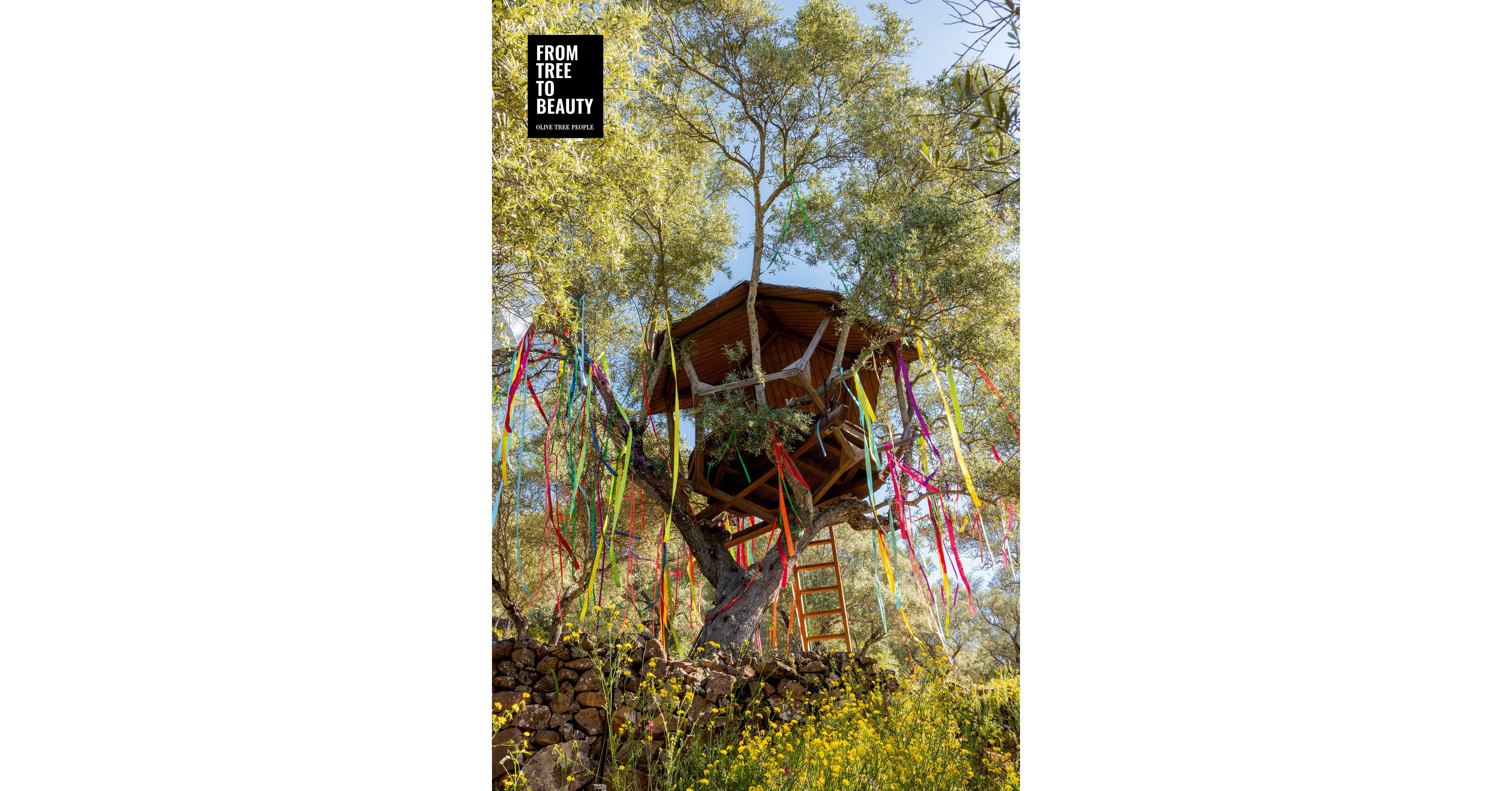 OLIVE TREE PEOPLE CELEBRATES TWO-YEAR U.S. BIRTHDAY AS FASTEST-GROWING ...