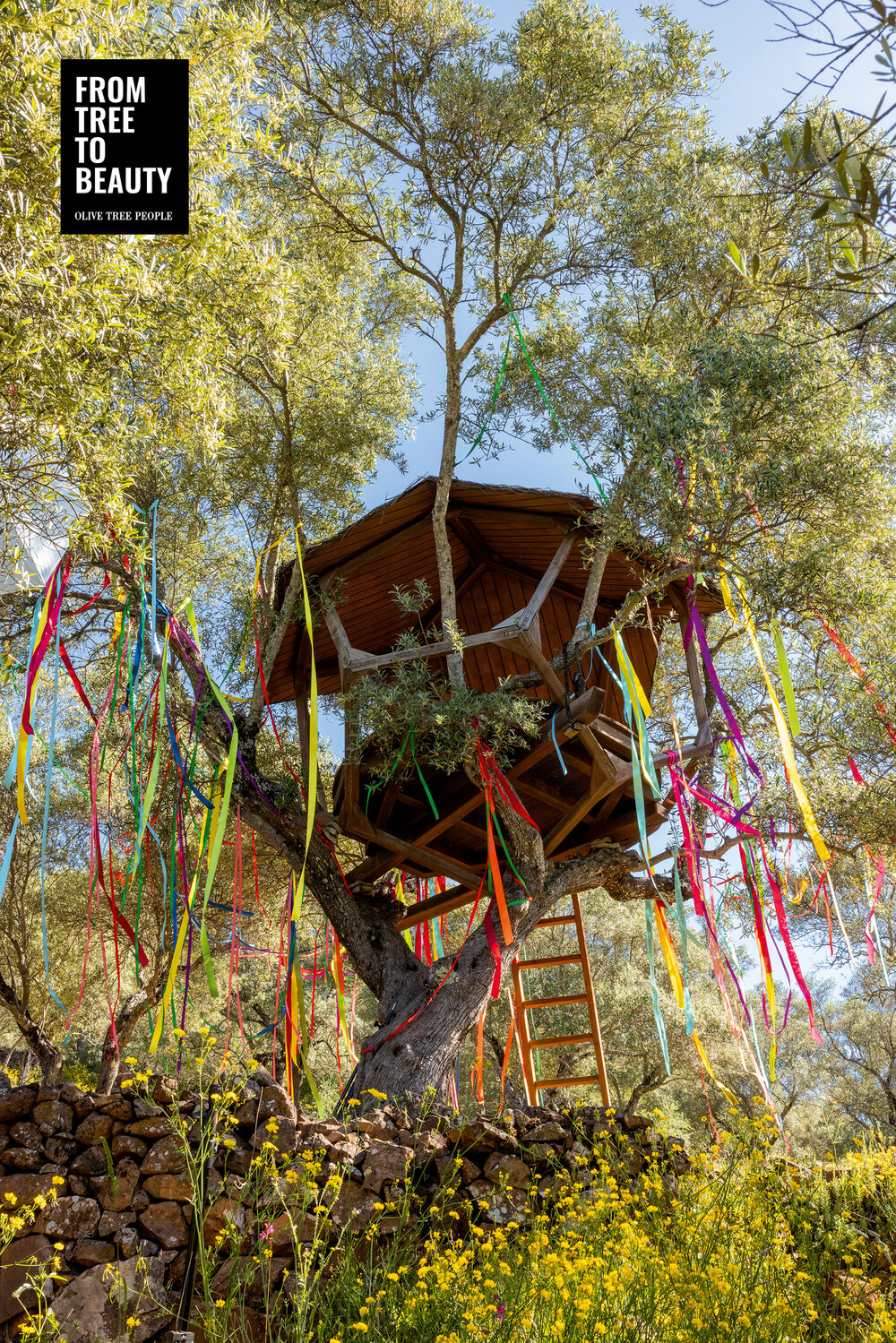 OLIVE TREE PEOPLE CELEBRATES TWO-YEAR U.S. BIRTHDAY AS FASTEST-GROWING ...