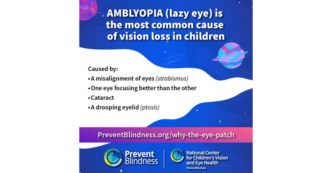 Prevent Blindness and NCCVEH Provide Free Educational Resources as New ...