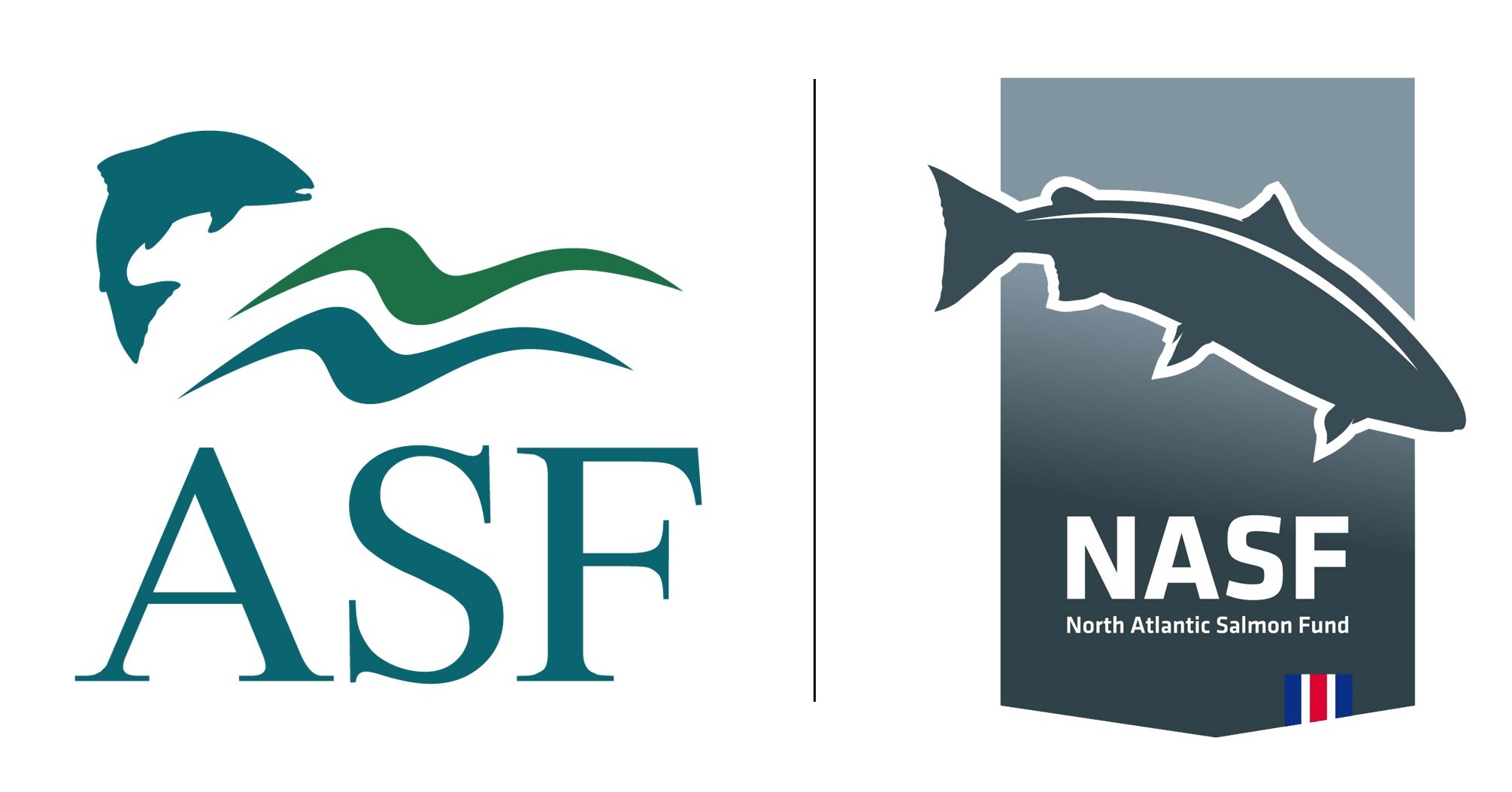 New Website Details Harmful Effects of Salmon Farming Practices from ...