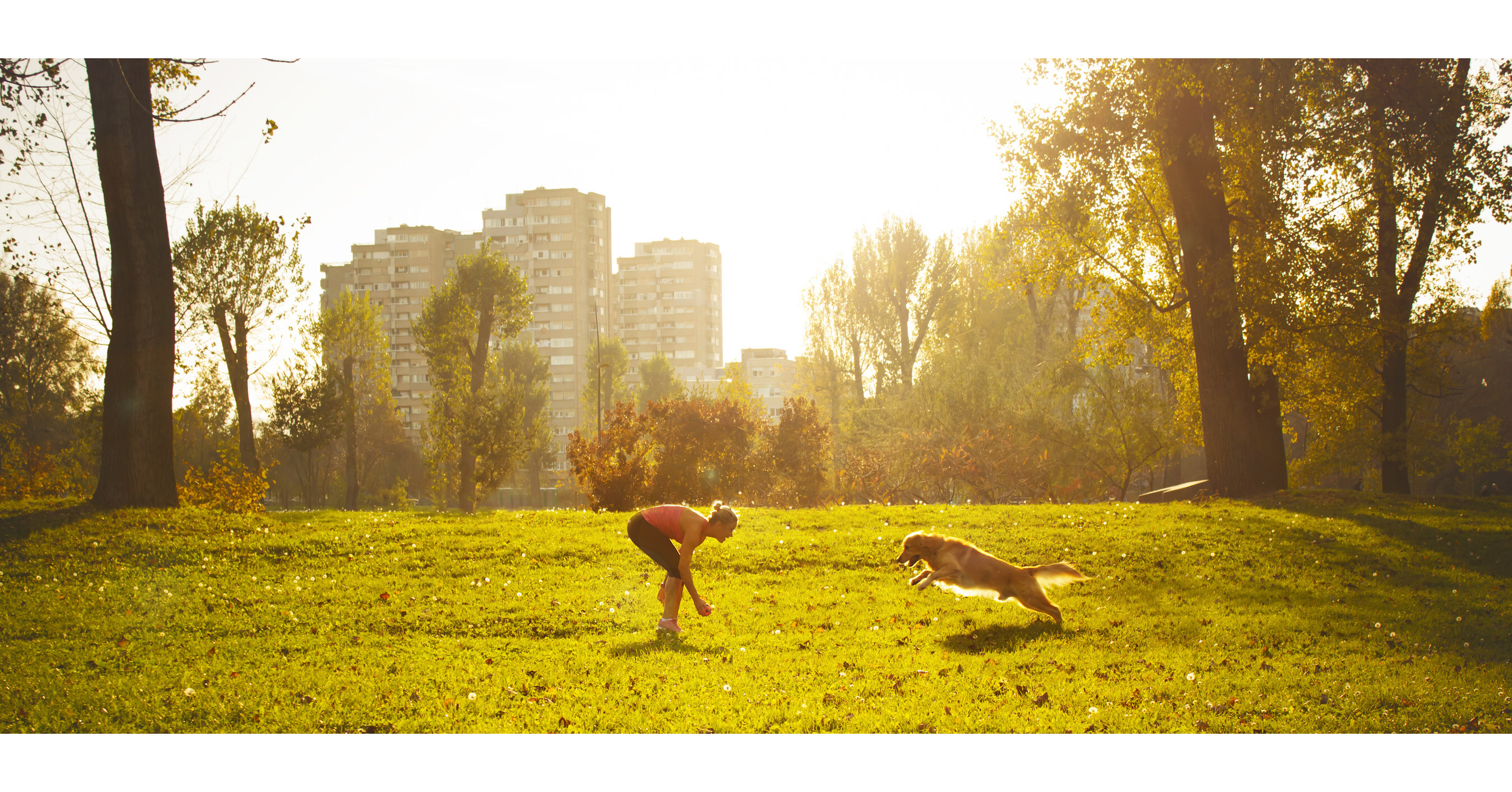 With Just 40% of Urban Pet Parents Calling Their Neighborhoods Pet-Friendly, Mars Expands BETTER ...