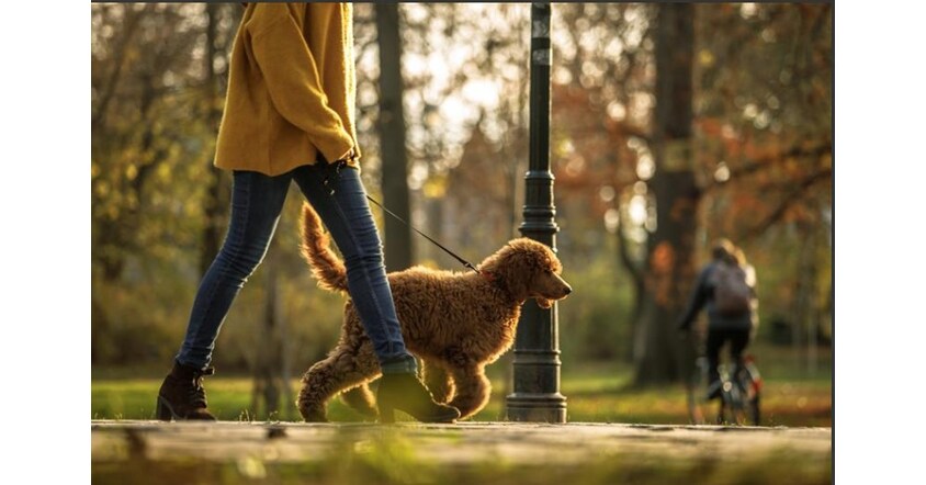 With Just 40% of Urban Pet Parents Calling Their Neighborhoods Pet ...