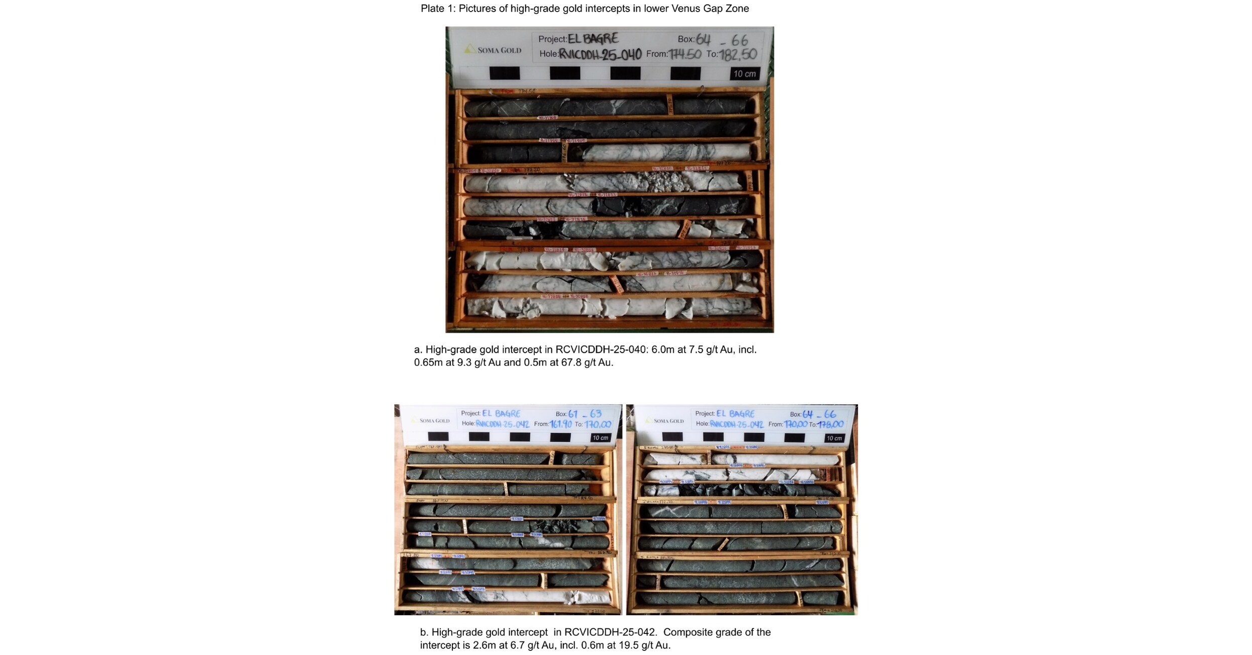 SOMA GOLD INTERSECTS VENUS GAP VEIN AT DEPTH WITH 7.5 g/t Au OVER 6.0 m ...