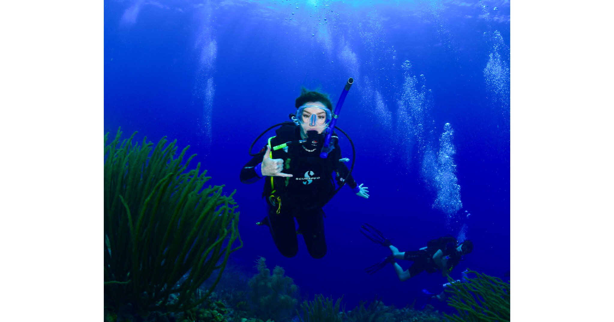 Unreal Value & Unforgettable Adventures Await at Divi Resorts with ...