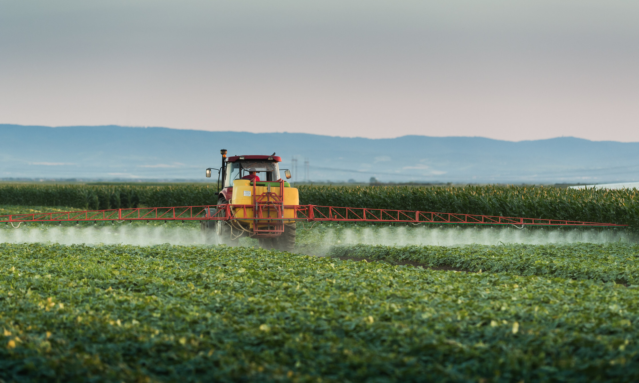 Marler Clark files first Federal Cucumber Lawsuit against grower linked ...