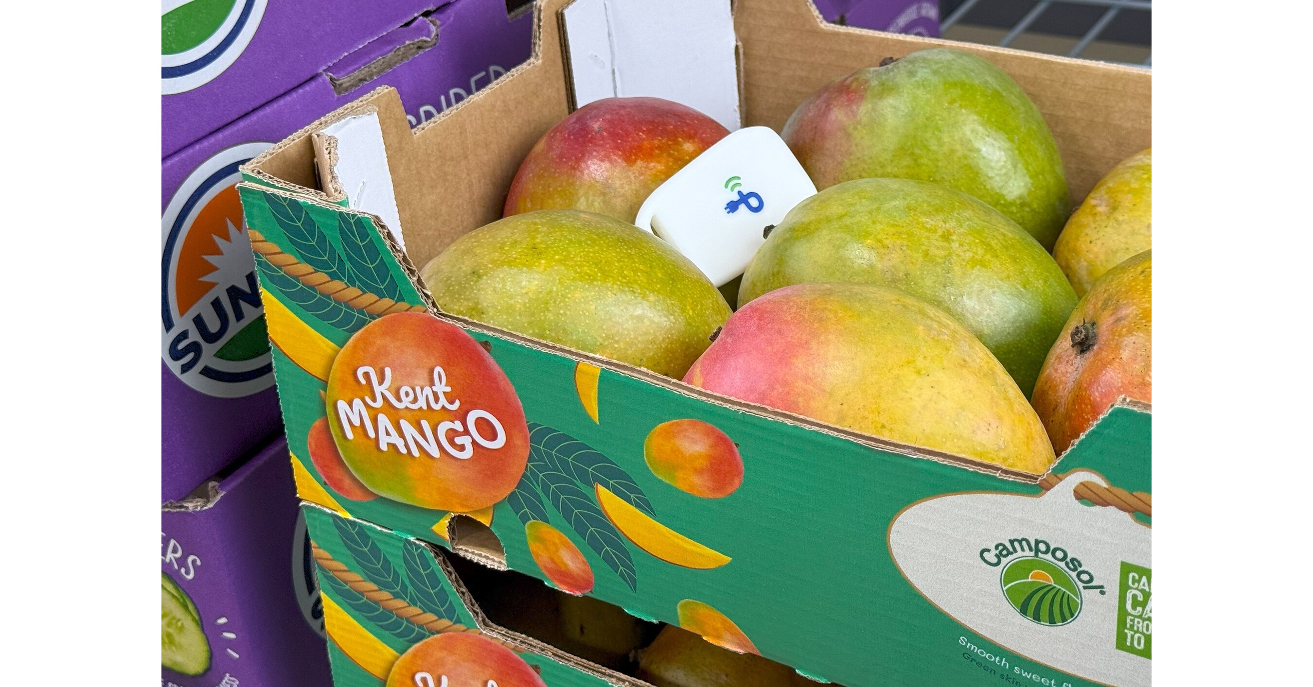 Powercast's Battery-Free RFID Sensor Condition Monitoring System is ...