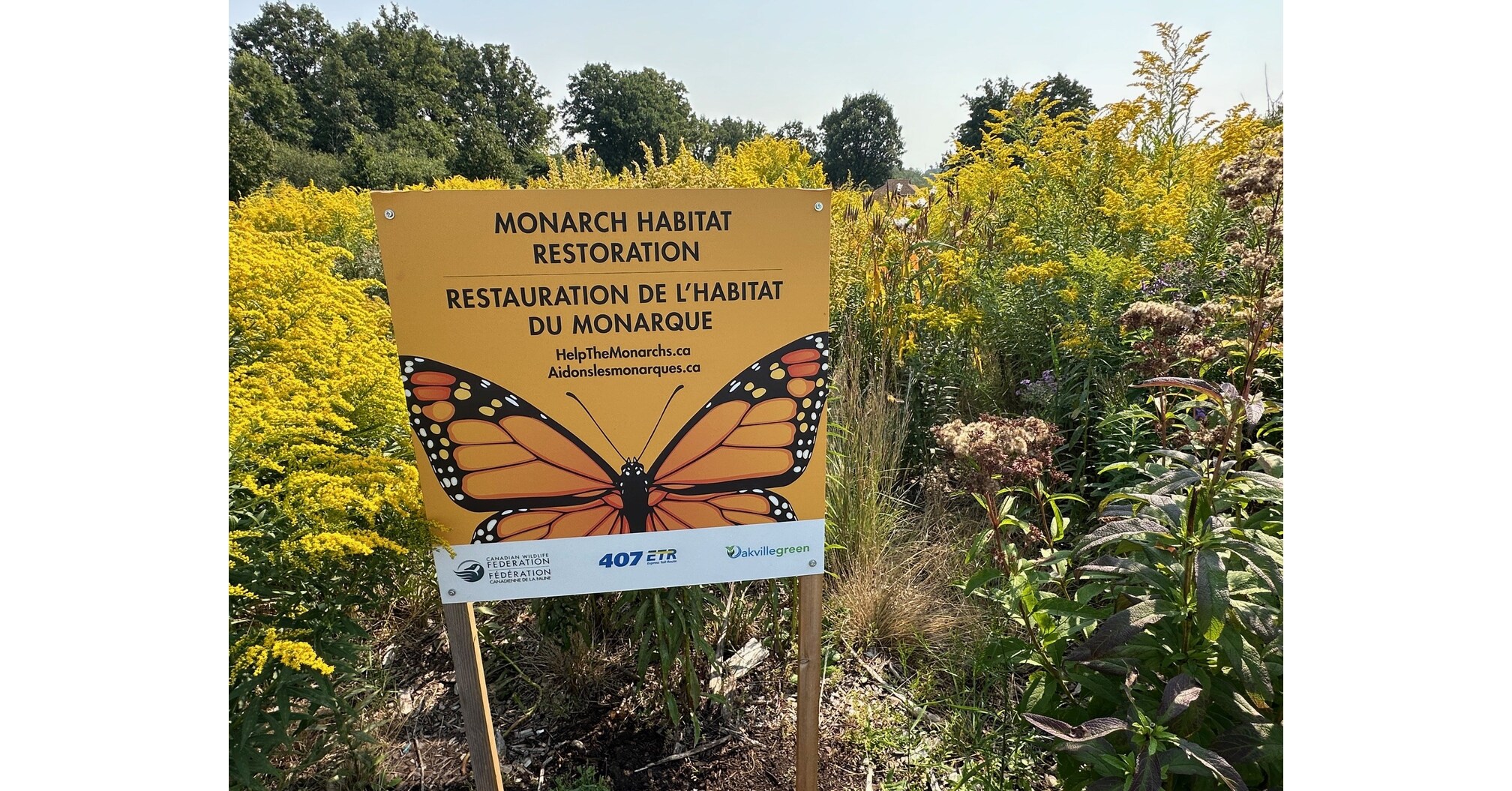 407 ETR and Canadian Wildlife Federation expand pollinator habitat ...