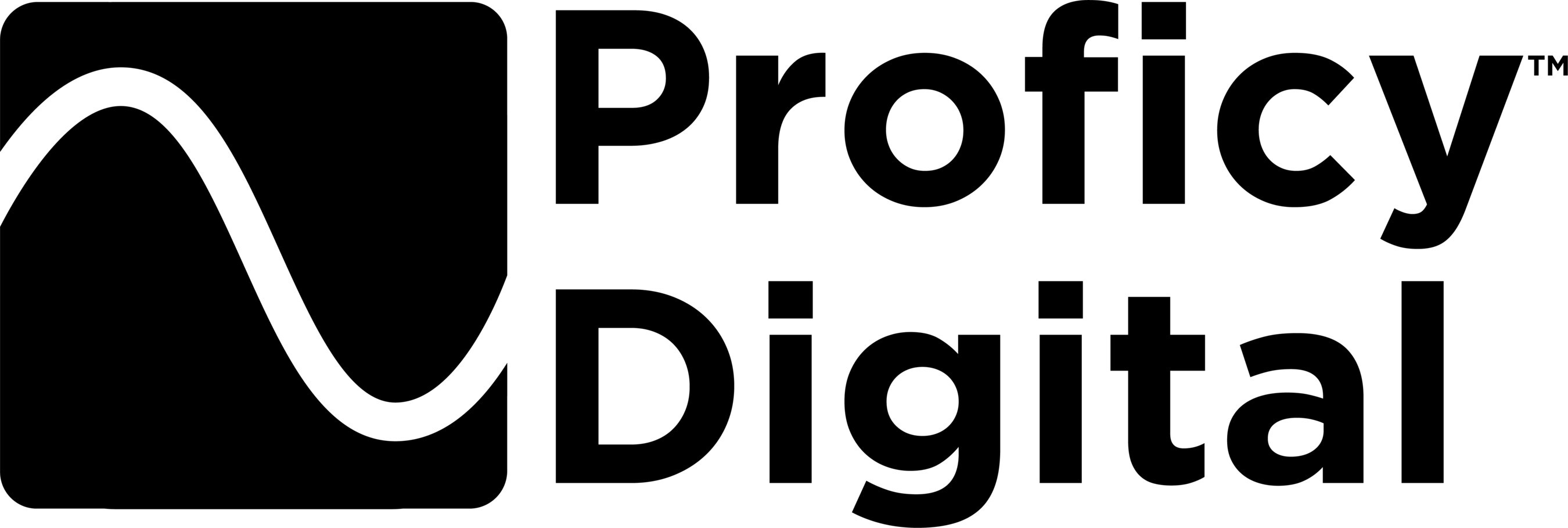 OMNICHANNEL DIGITAL ADVERTISING AGENCY, PROFICY DIGITAL, NAMES JUSTIN ...