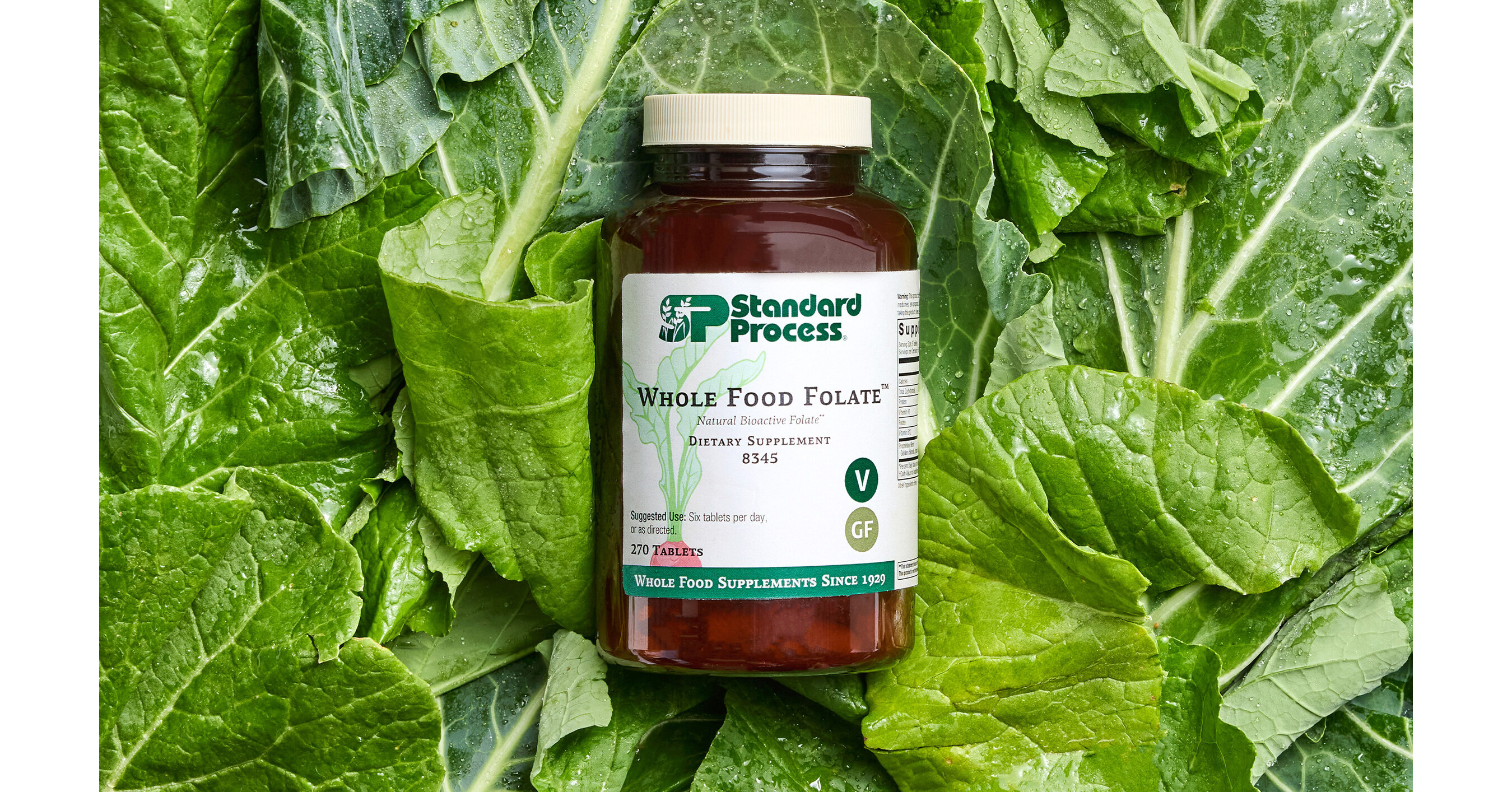 Standard Process Introduces Whole Food Folate™