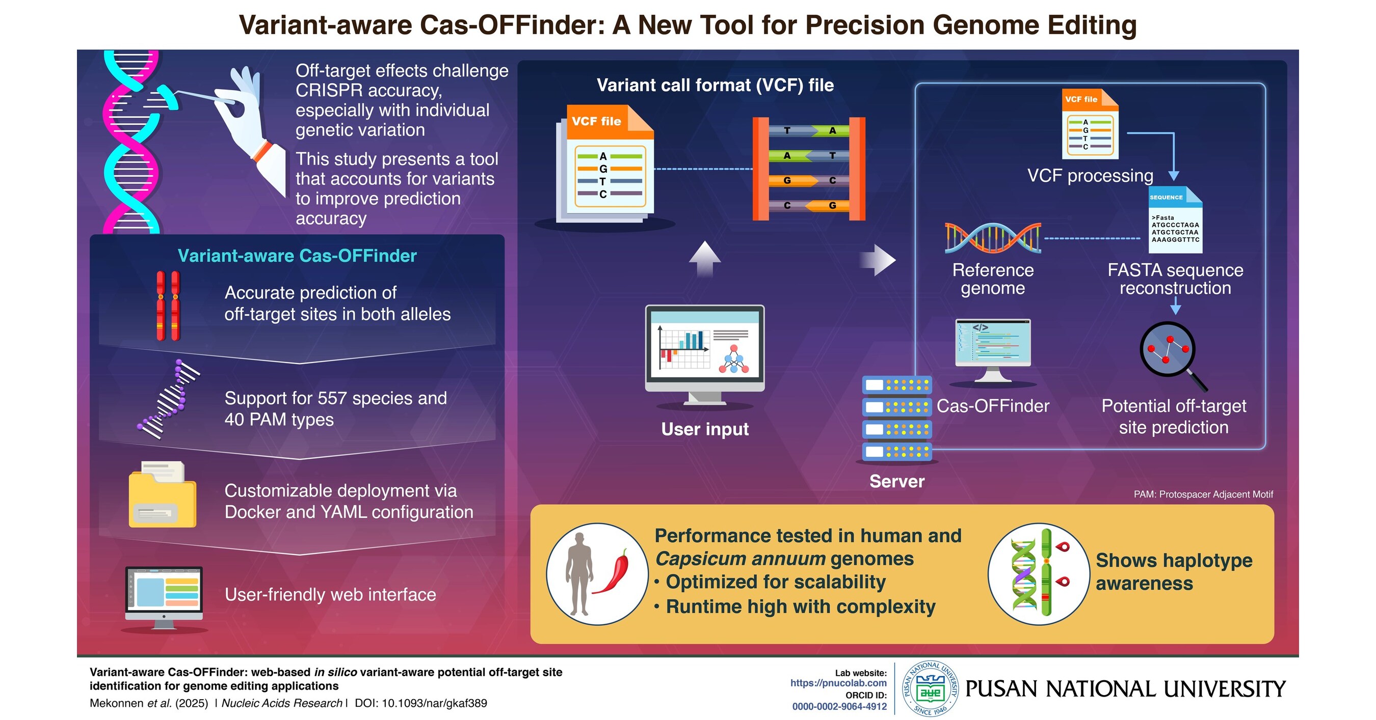 Pusan National University Researchers Develop Tool to Improve CRISPR ...