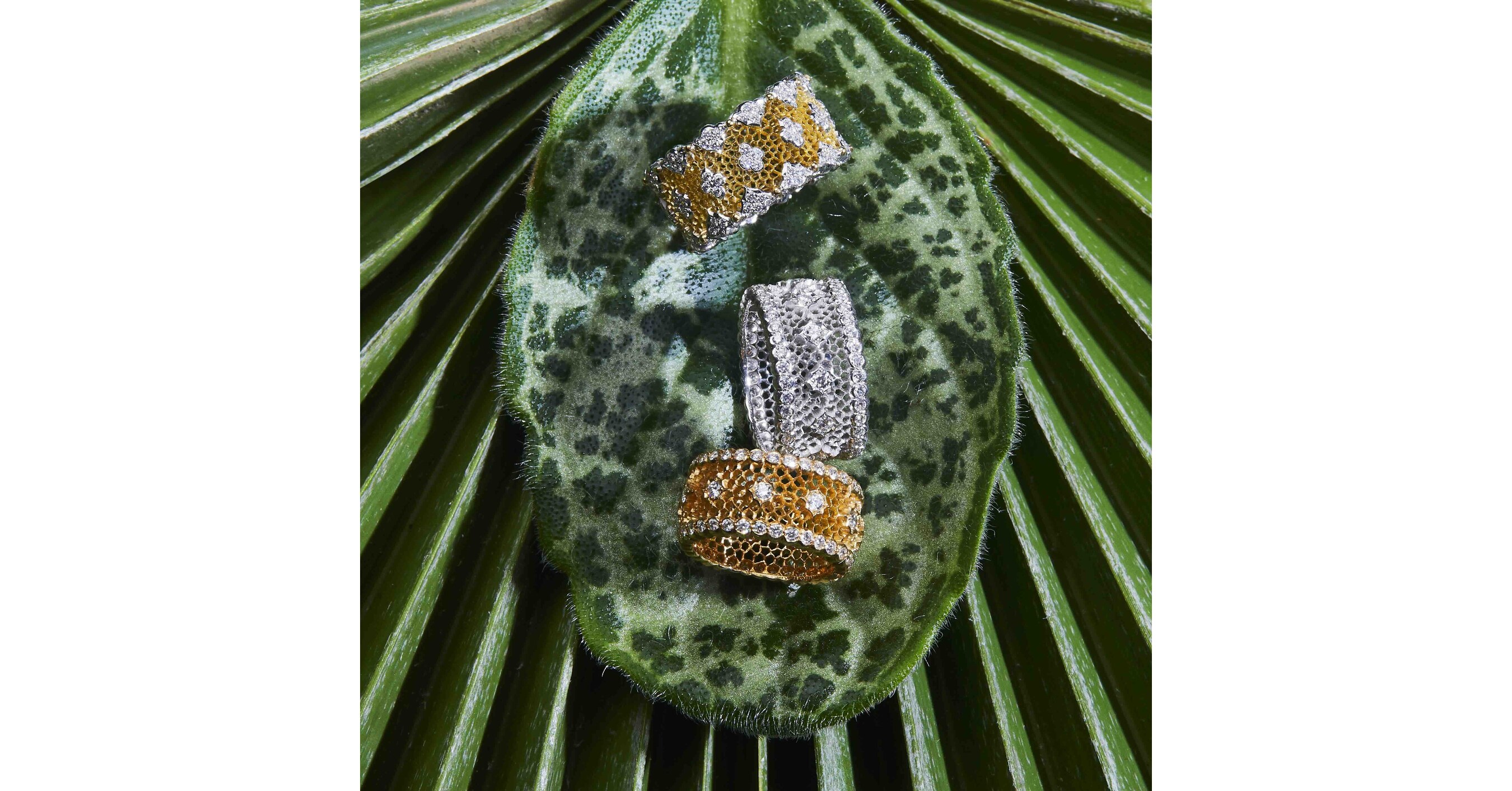 IAC's Gold + Diamond Conference Returns to New York City for its 15th ...