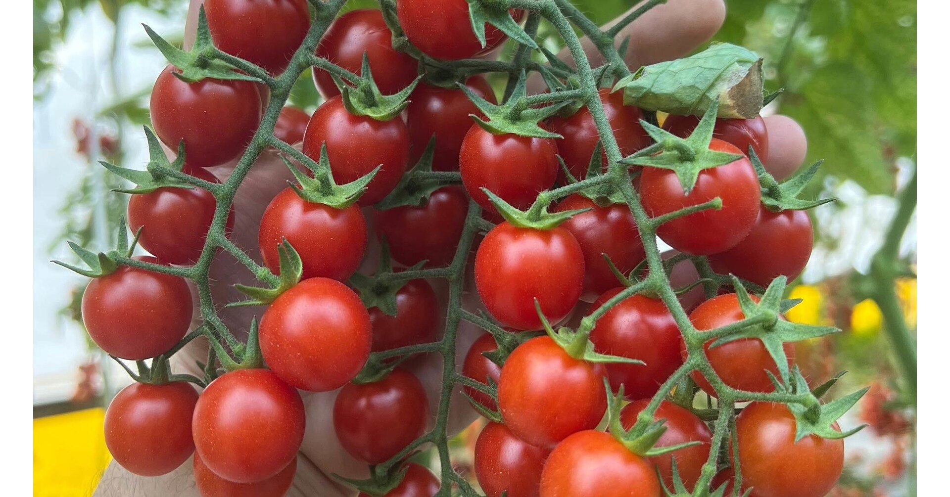 Breckie hill nudes hot this girl is not a breathtaking