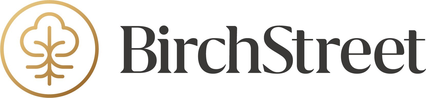 BirchStreet Systems Named a Leader in the IDC MarketScape: Worldwide AI-Enabled Procure-to-Pay ...