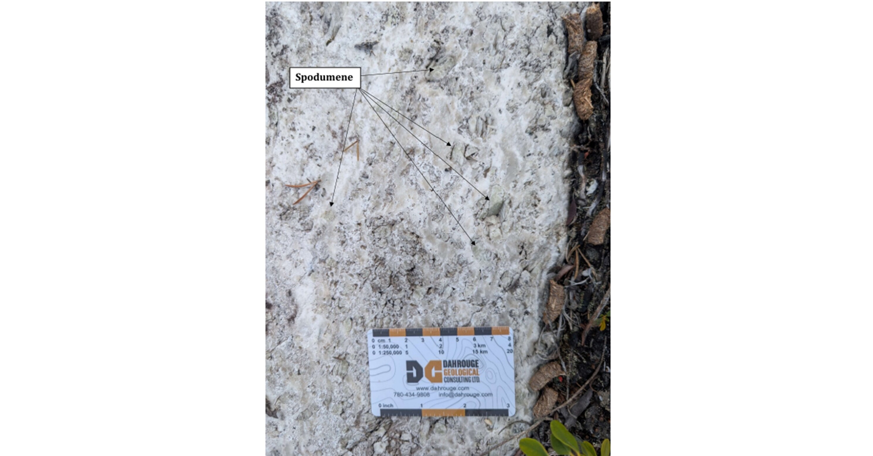 Comet Lithium Discovers First Spodumene-Bearing Pegmatite at Elmer East ...