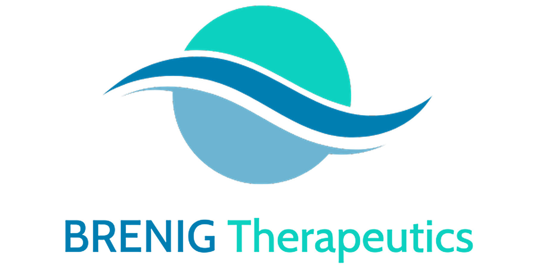 BRENIG THERAPEUTICS ANNOUNCES APPOINTMENTS OF DAVID L. LUCCHINO AS CEO ...